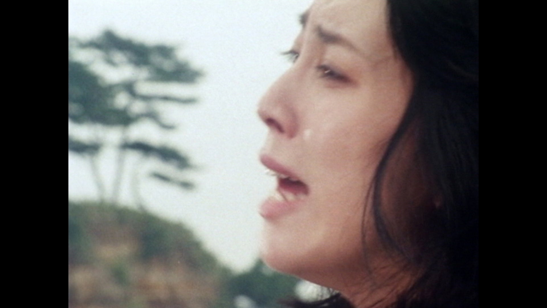 五星戦隊ダイレンジャー 第44話 | Lemino(レミノ) - 映画・ドラマ・アニメや音楽・ライブが見放題 | ドコモの動画配信サービス