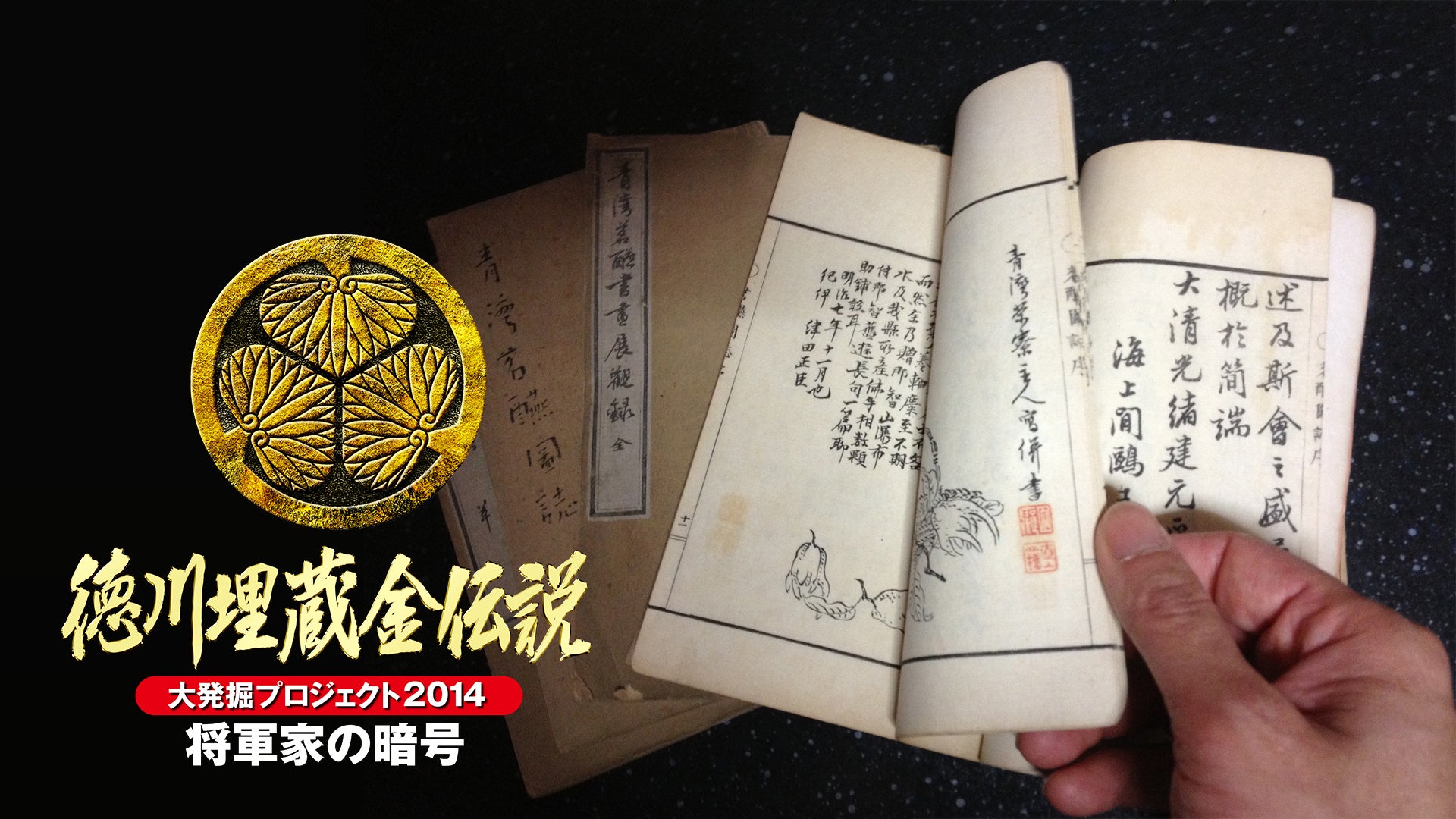 徳川埋蔵金伝説 大発掘プロジェクト2014 将軍家の暗号 | Lemino(レミノ) - 映画・ドラマ・アニメや音楽・ライブが見放題 | ドコモの動画配信サービス