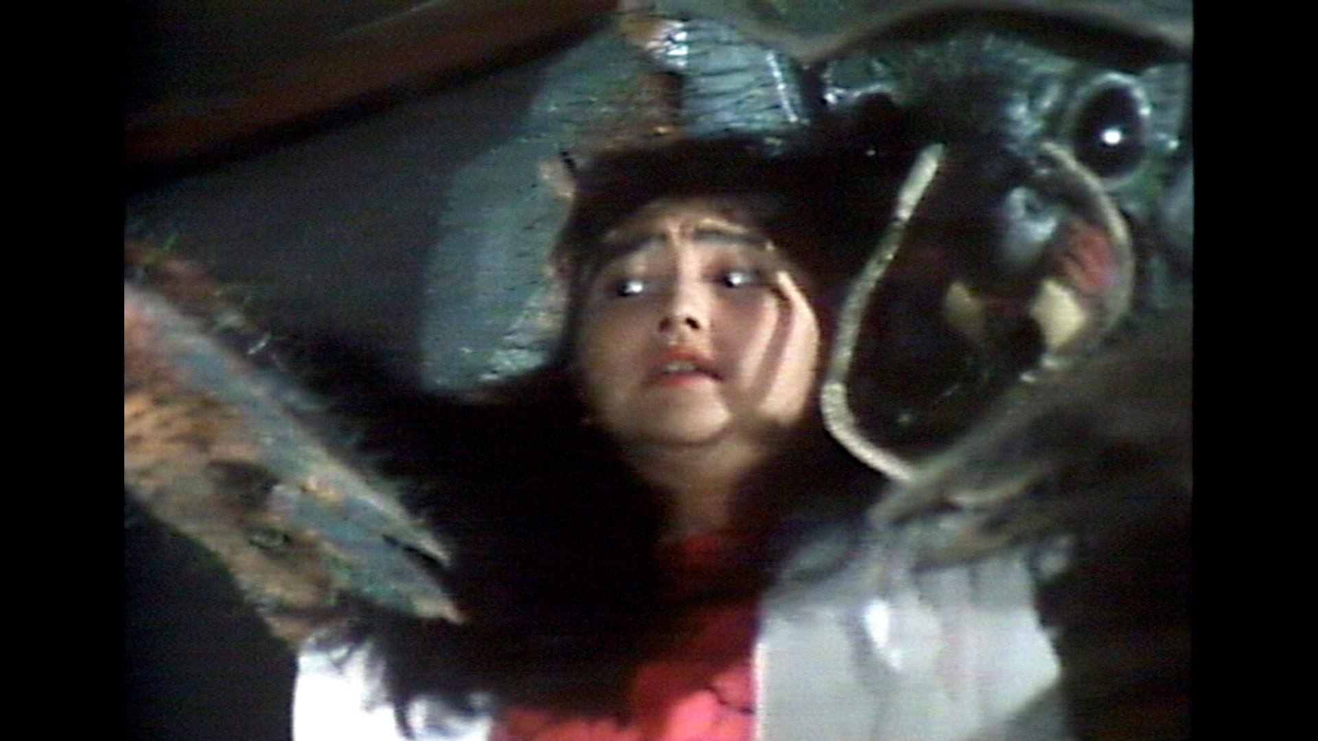 仮面ライダーBLACK 第37話 | Lemino(レミノ) - 映画・ドラマ・アニメや音楽・ライブが見放題 | ドコモの動画配信サービス