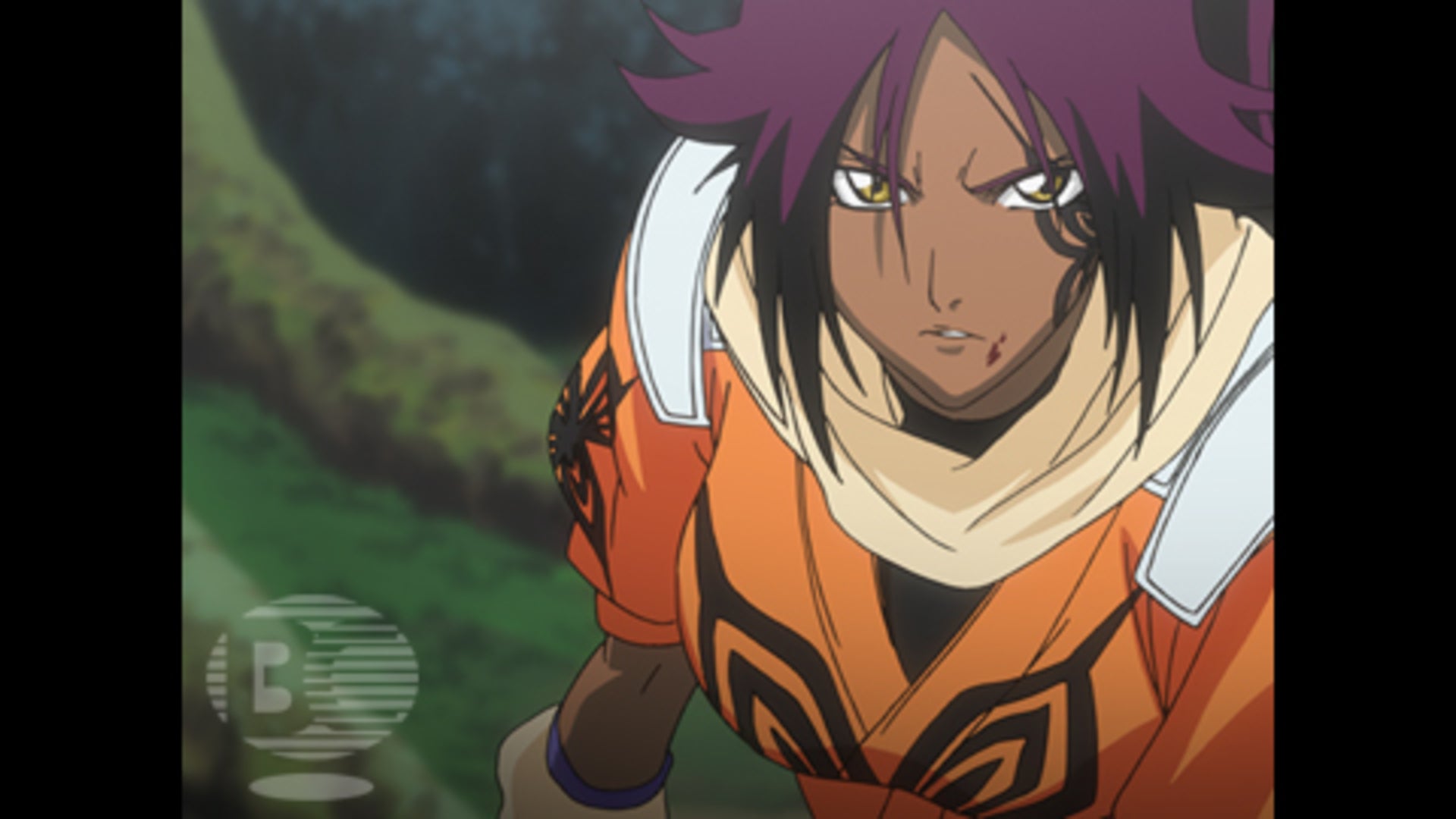 BLEACH 尸魂界篇 第56話 | Lemino（レミノ）／ドコモの新しい映像サービス - 知らなかった、大好きへ。