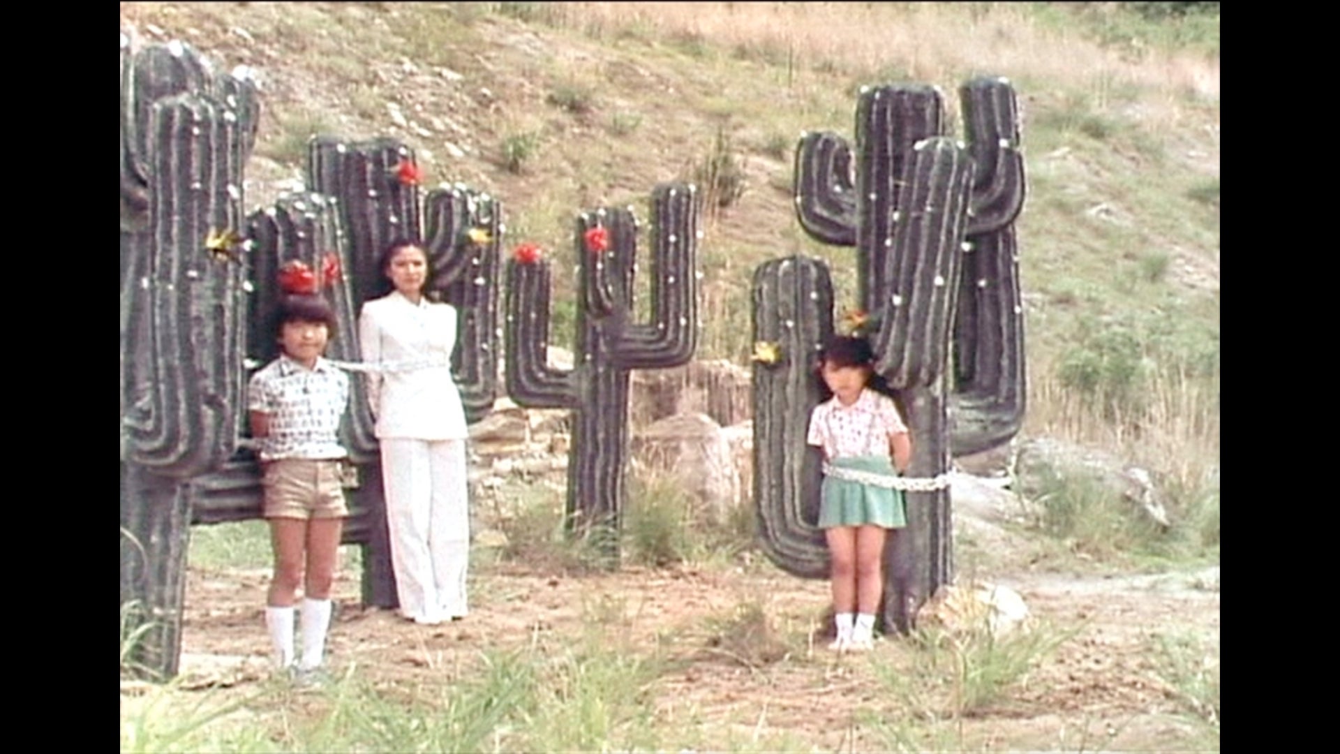 大戦隊ゴーグルV 第20話 | Lemino(レミノ) - 映画・ドラマ・アニメや音楽・ライブが見放題 | ドコモの動画配信サービス