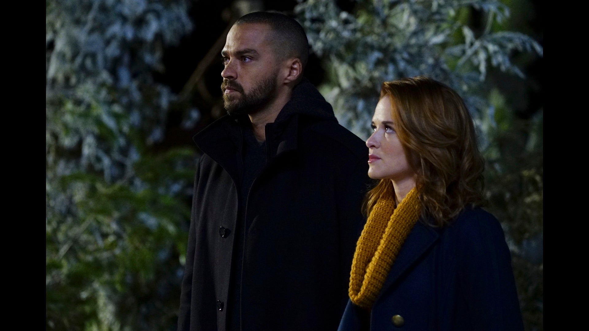 グレイズ・アナトミー シーズン13 #16 | Lemino（レミノ）／ドコモの新しい映像サービス - 知らなかった、大好きへ。