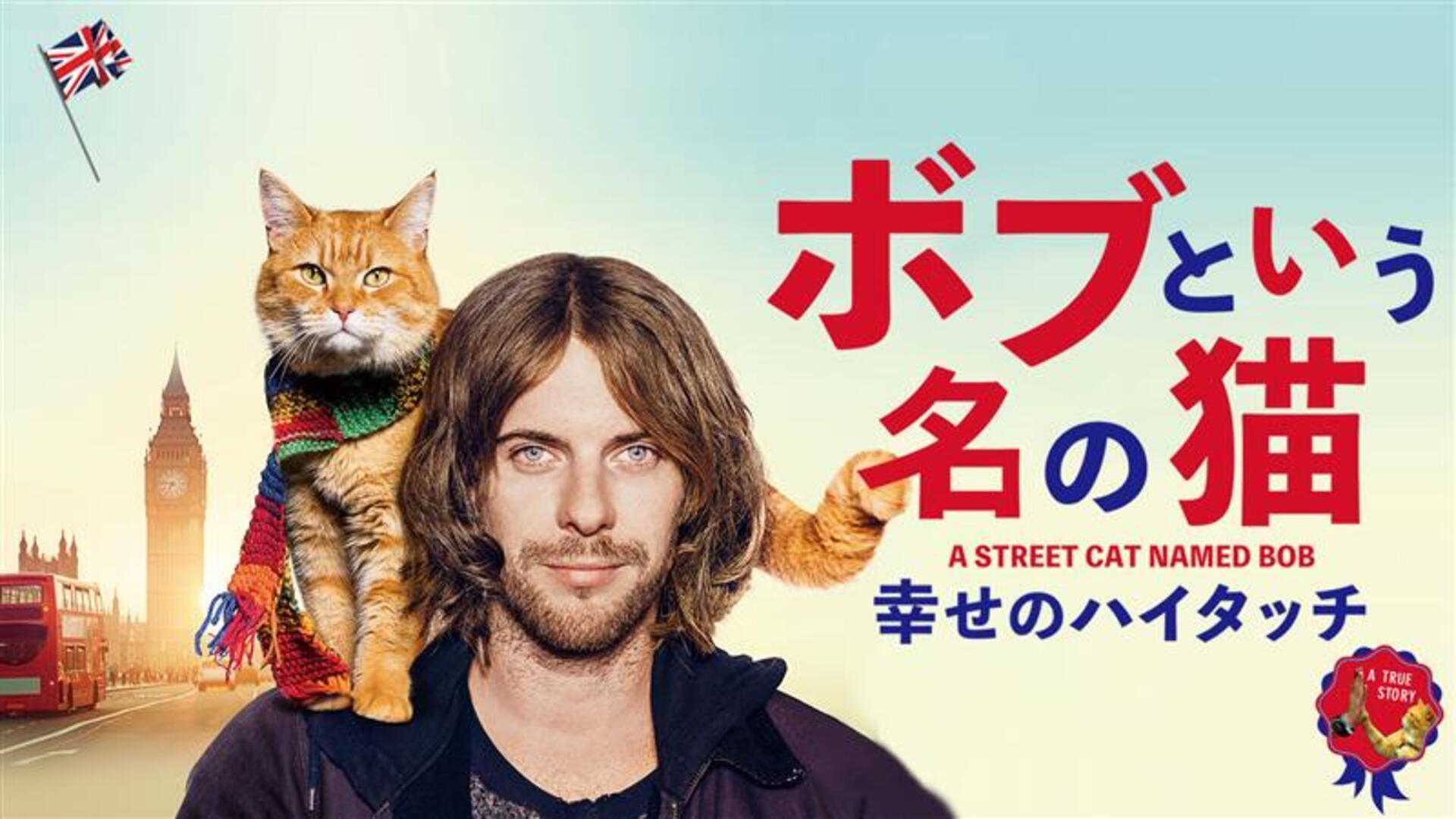 ボブという名の猫 幸せのハイタッチ | Lemino(レミノ) - 映画・ドラマ・アニメや音楽・ライブが見放題 | ドコモの動画配信サービス