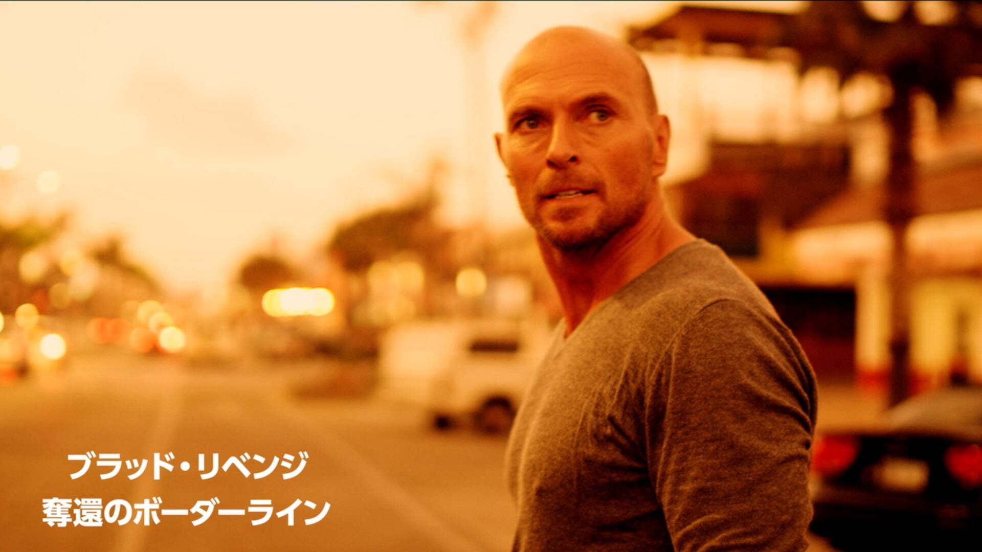 ブラッド・リベンジ 奪還のボーダーライン | Lemino（レミノ）／ドコモの新しい映像サービス - 知らなかった、大好きへ。