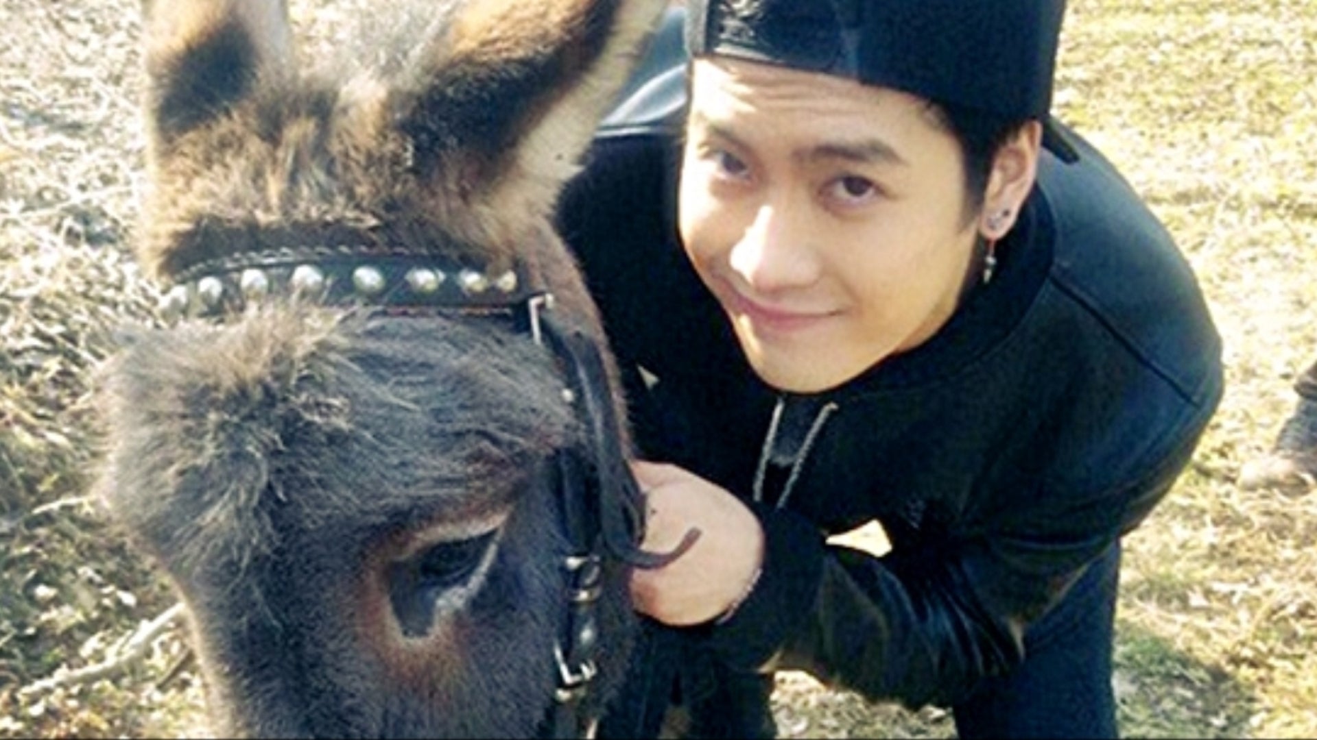 ルームメイト2 第22話 | Lemino（レミノ）／ドコモの新しい映像サービス - 知らなかった、大好きへ。