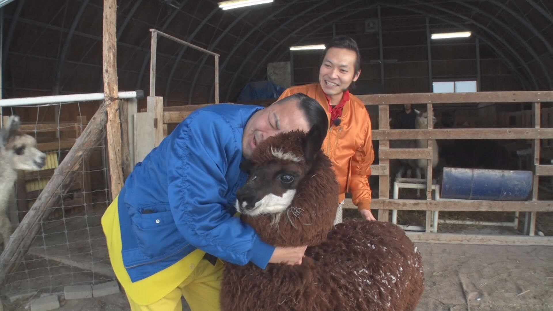 ブギウギ専務 シーズン2 #37 | Lemino(レミノ) - 映画・ドラマ・アニメや音楽・ライブが見放題 | ドコモの動画配信サービス