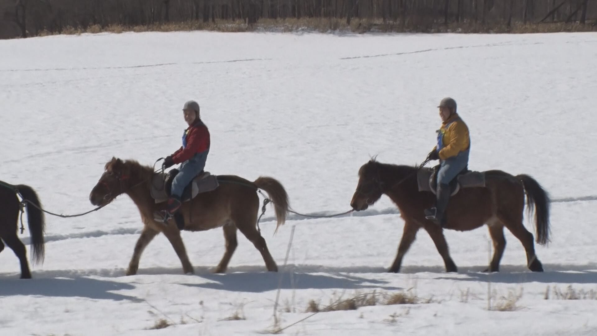 ブギウギ専務 シーズン2 #41 | Lemino(レミノ) - 映画・ドラマ・アニメや音楽・ライブが見放題 | ドコモの動画配信サービス