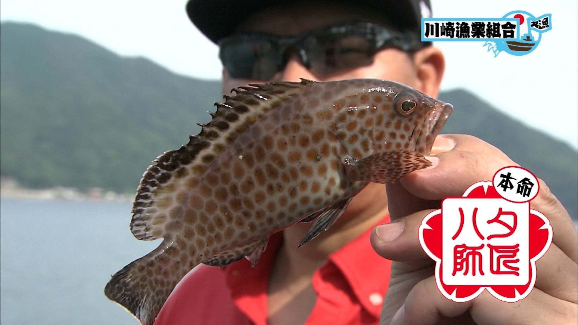 川崎漁業組合 #19 | Lemino(レミノ) - 映画・ドラマ・アニメや音楽・ライブが見放題 | ドコモの動画配信サービス