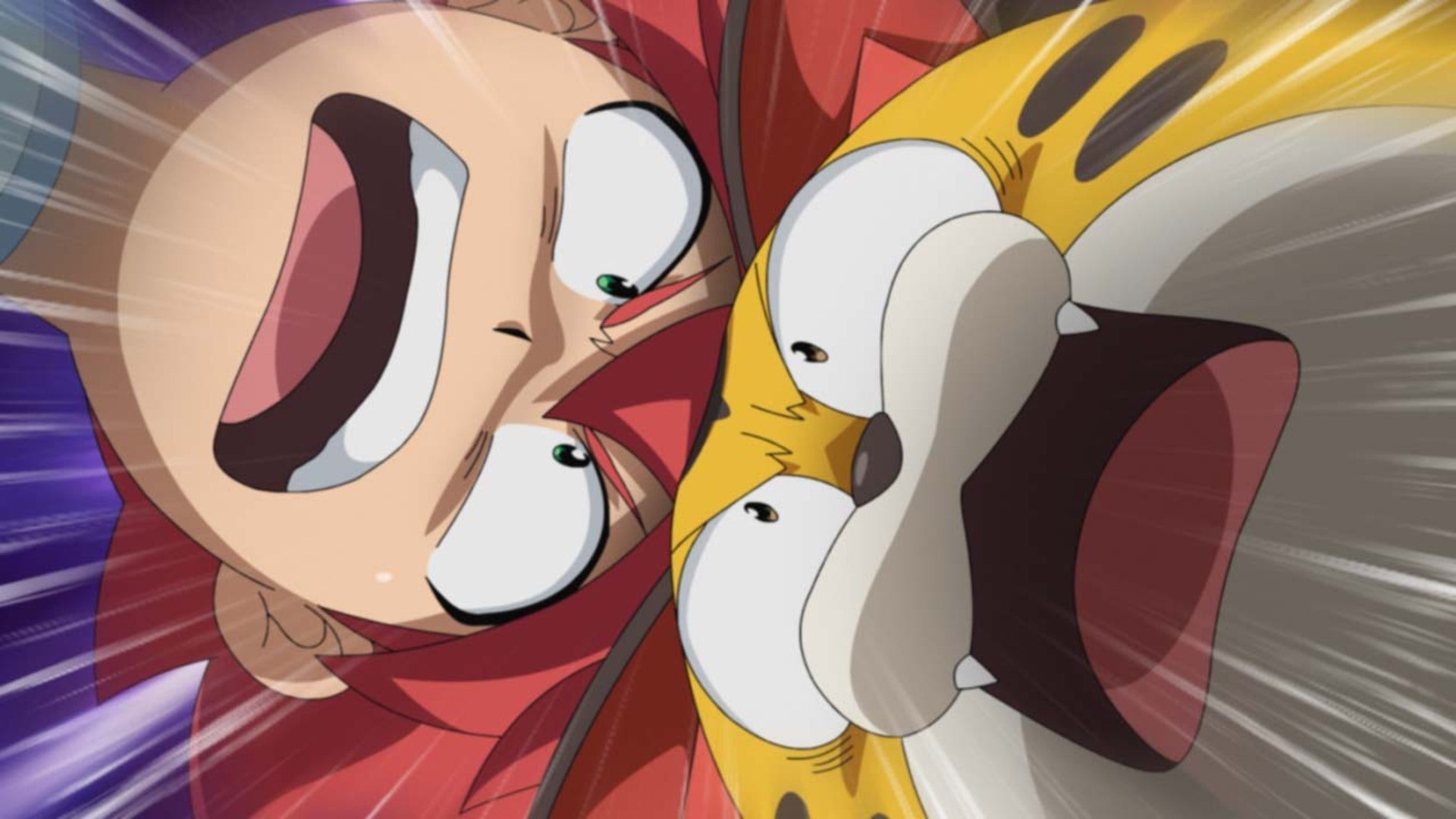 パズドラ 第3・第4シリーズ 第158話 | Lemino(レミノ) - 映画・ドラマ・アニメや音楽・ライブが見放題 | ドコモの動画配信サービス