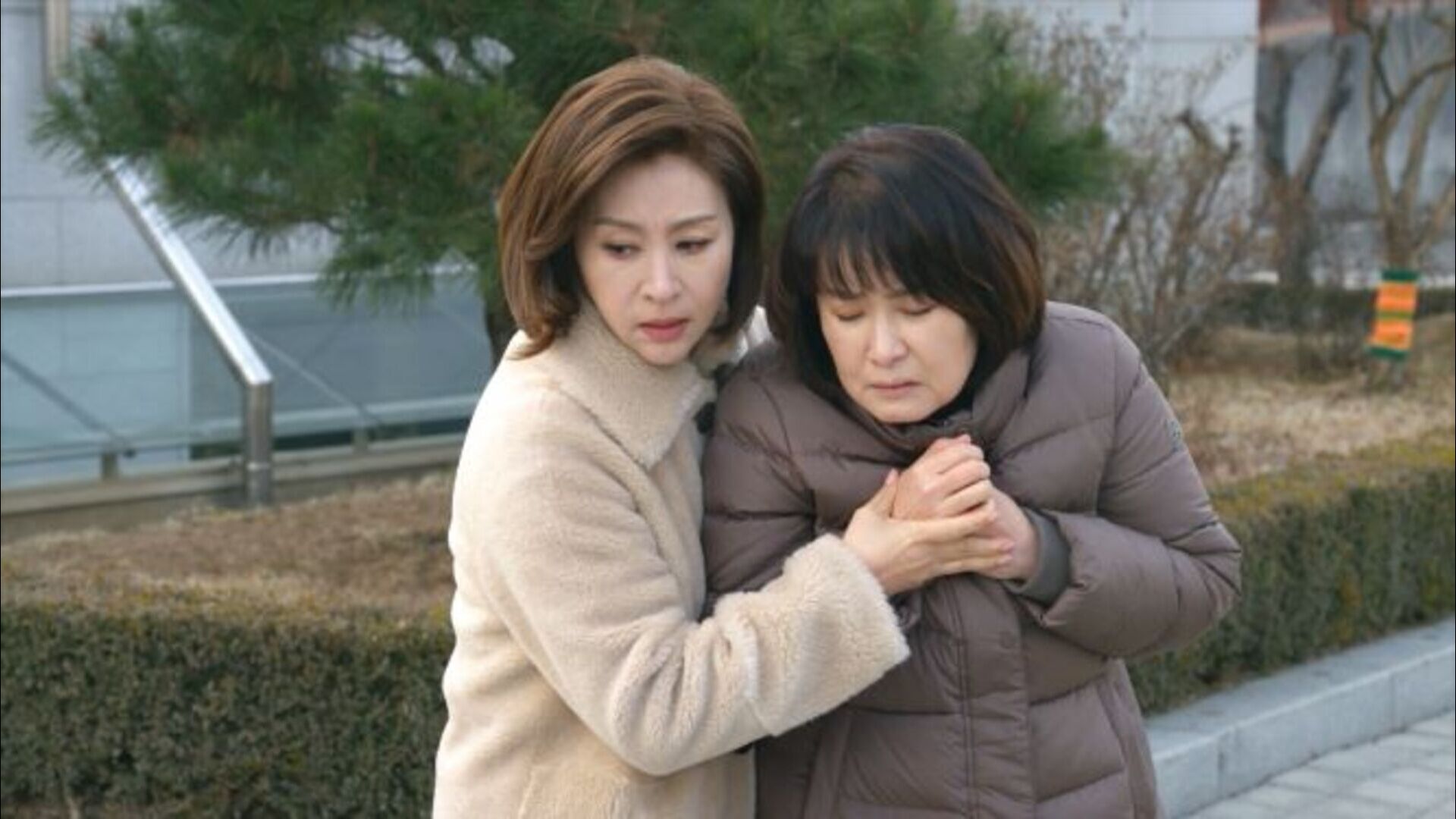 優雅な母娘 第66話 | Lemino(レミノ) - 映画・ドラマ・アニメや音楽・ライブが見放題 | ドコモの動画配信サービス