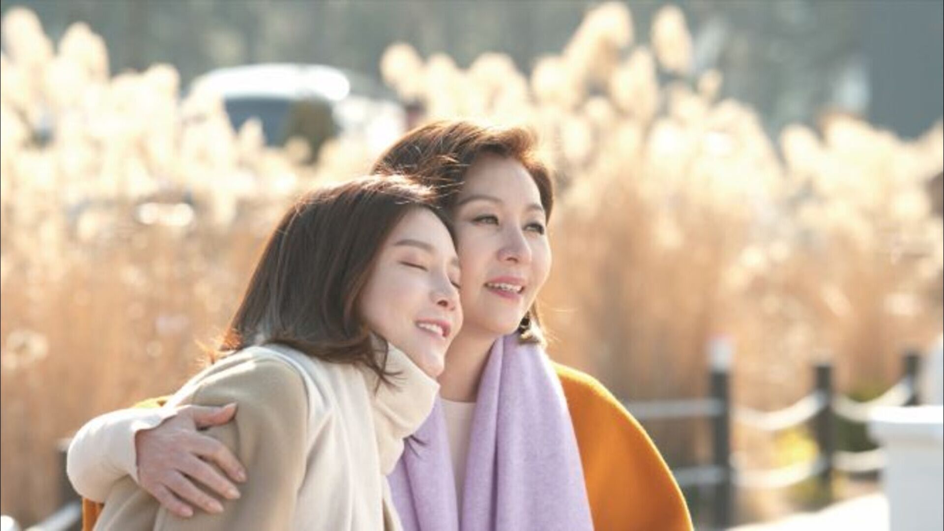 優雅な母娘 第89話 | Lemino(レミノ) - 映画・ドラマ・アニメや音楽・ライブが見放題 | ドコモの動画配信サービス