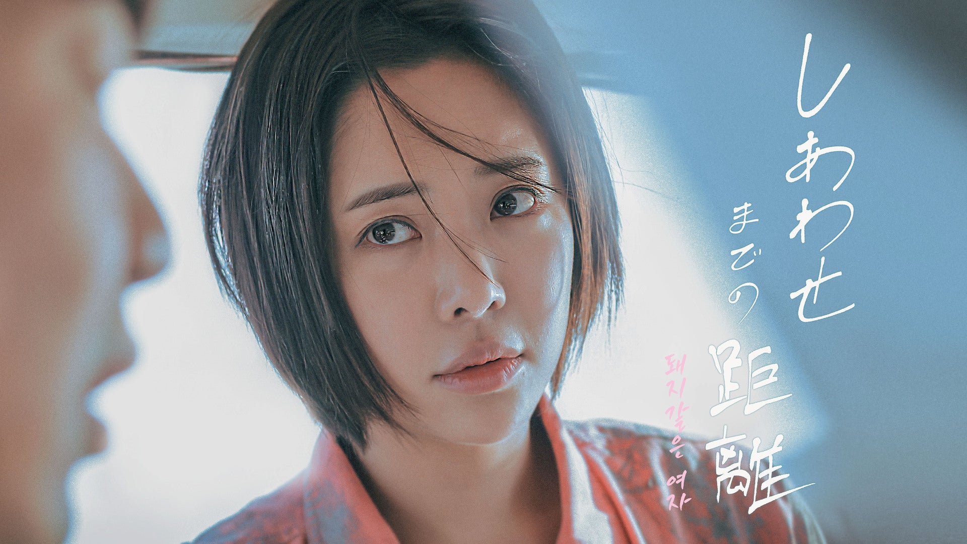 しあわせまでの距離 | Lemino(レミノ) - 映画・ドラマ・アニメや音楽・ライブが見放題 | ドコモの動画配信サービス