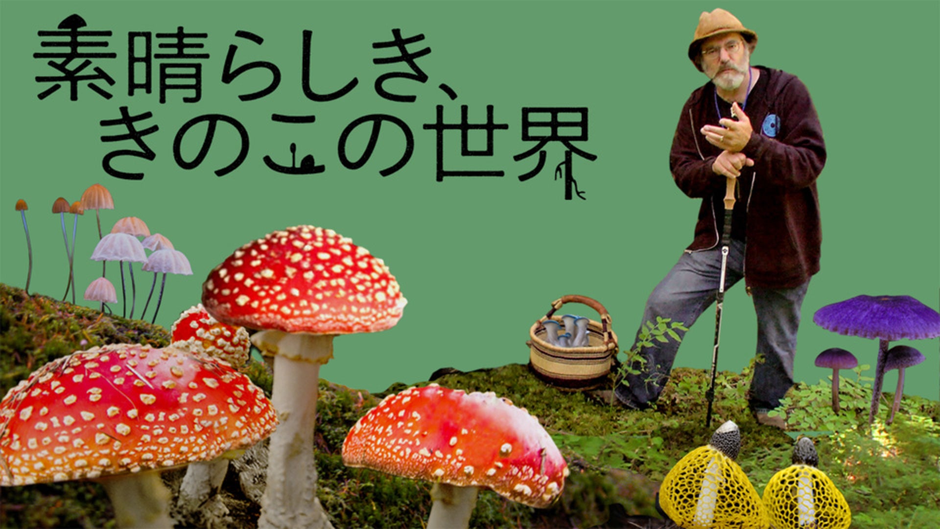 素晴らしき、きのこの世界 | Lemino(レミノ) - 映画・ドラマ・アニメや音楽・ライブが見放題 | ドコモの動画配信サービス