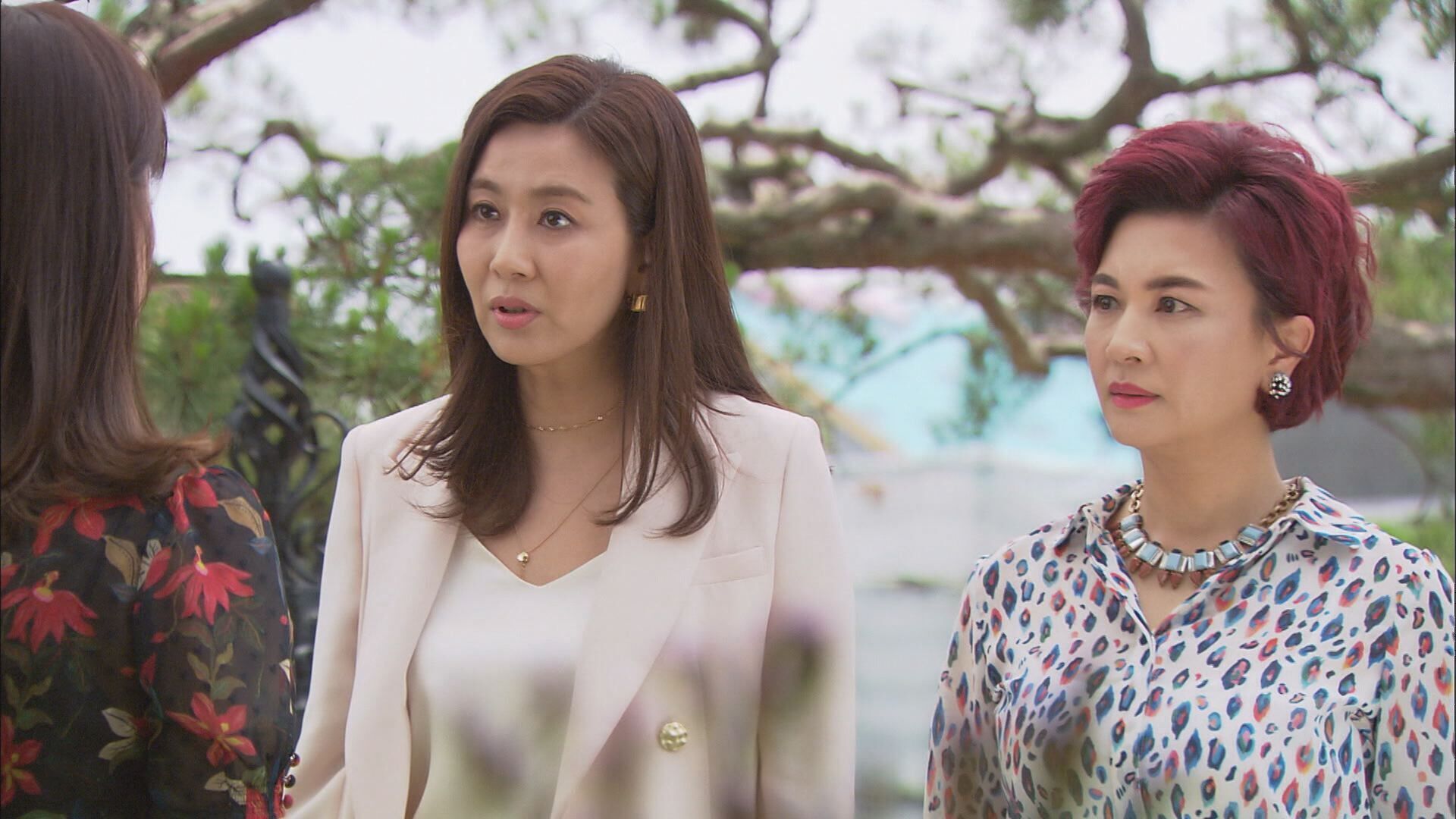 黒薔薇の家 第31話 | Lemino(レミノ) - 映画・ドラマ・アニメや音楽・ライブが見放題 | ドコモの動画配信サービス