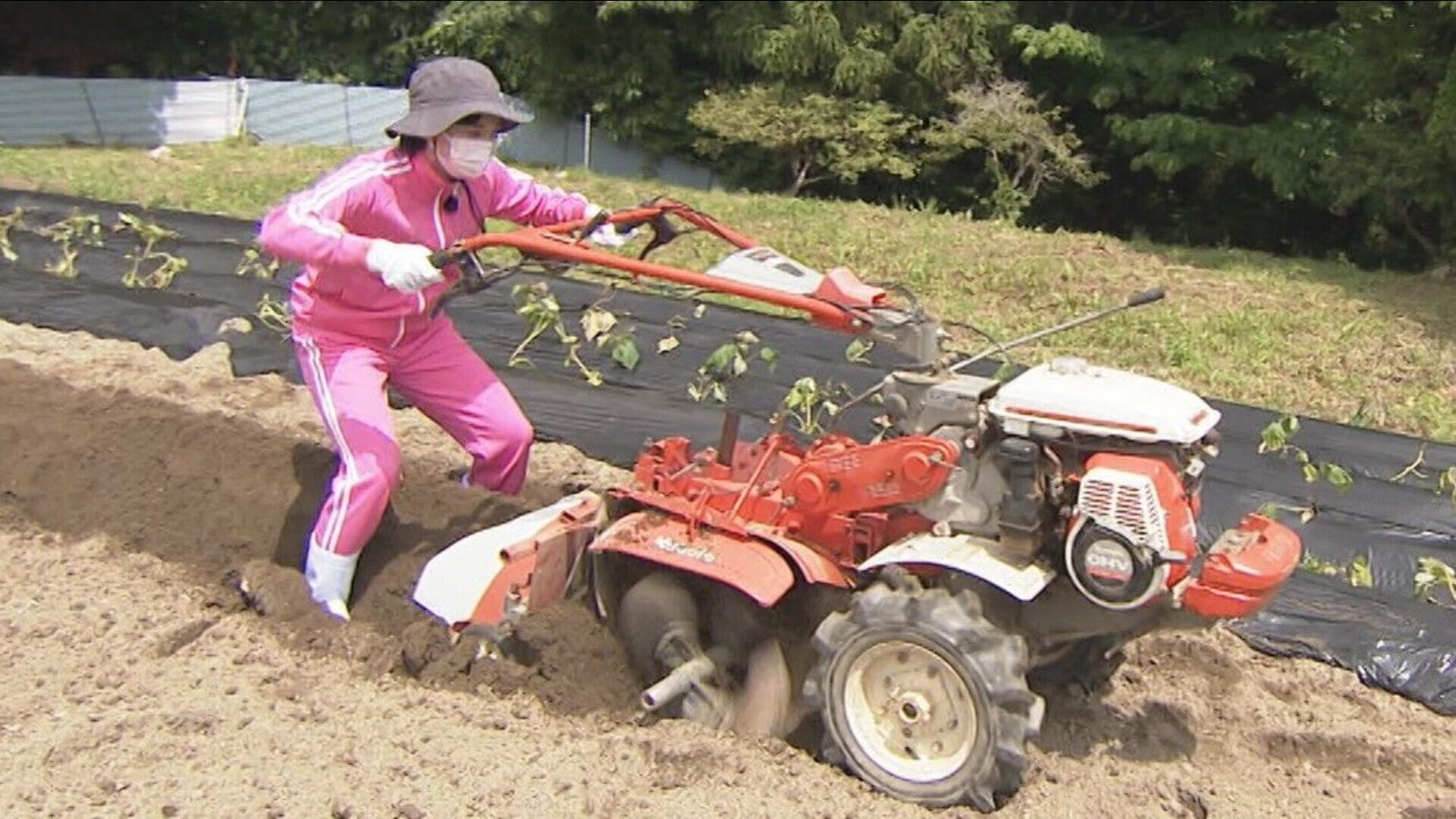 ぼる部屋 #67 | Lemino(レミノ) - 映画・ドラマ・アニメや音楽・ライブが見放題 | ドコモの動画配信サービス