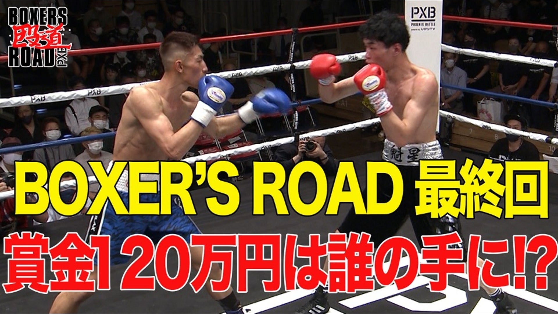 BOXER’S ROAD/ボクサーズロード #10 | Lemino(レミノ) - 映画・ドラマ・アニメや音楽・ライブが見放題 | ドコモの動画配信サービス
