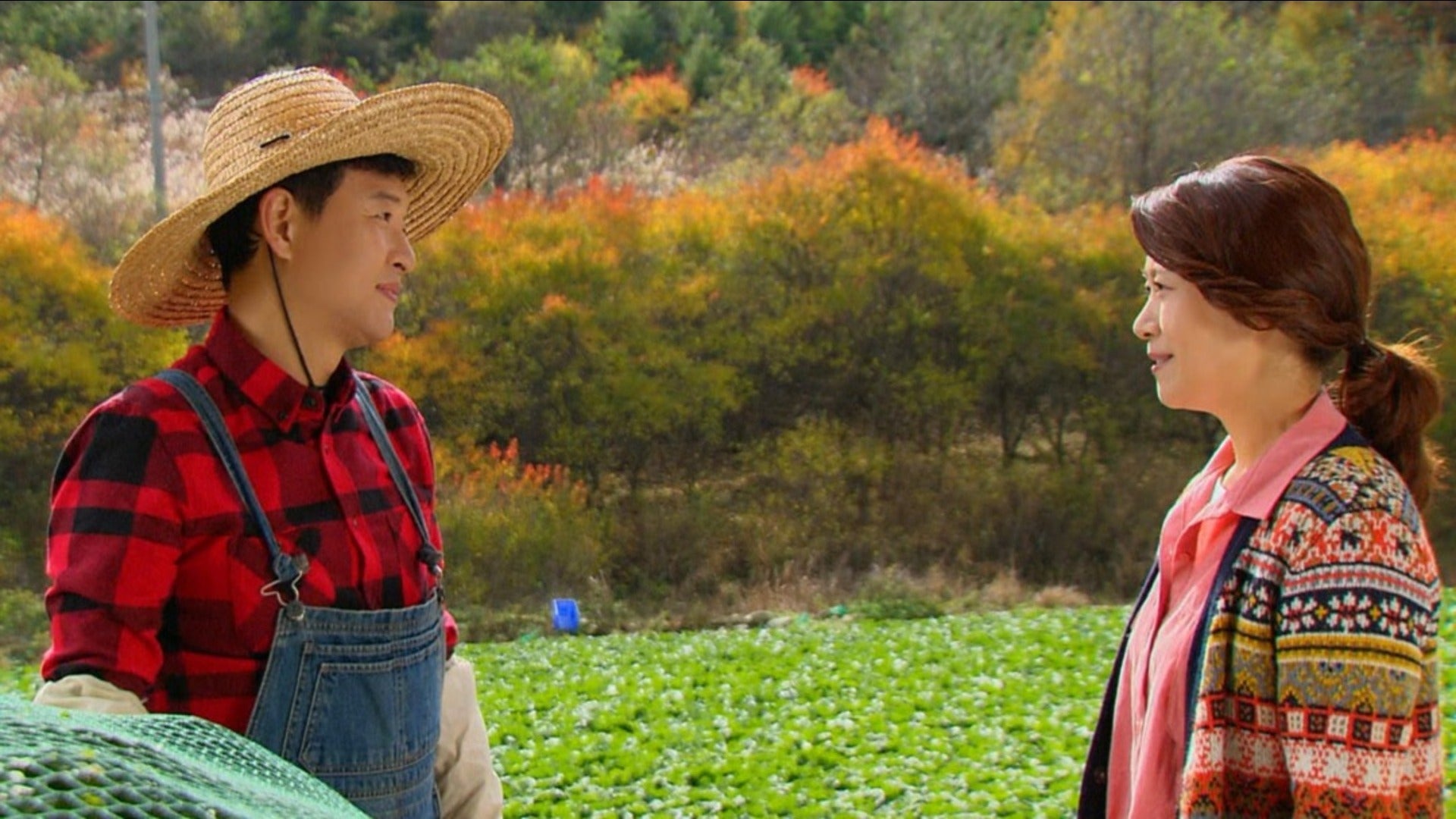 みんなキムチ 第132話 | Lemino(レミノ) - 映画・ドラマ・アニメや音楽・ライブが見放題 | ドコモの動画配信サービス