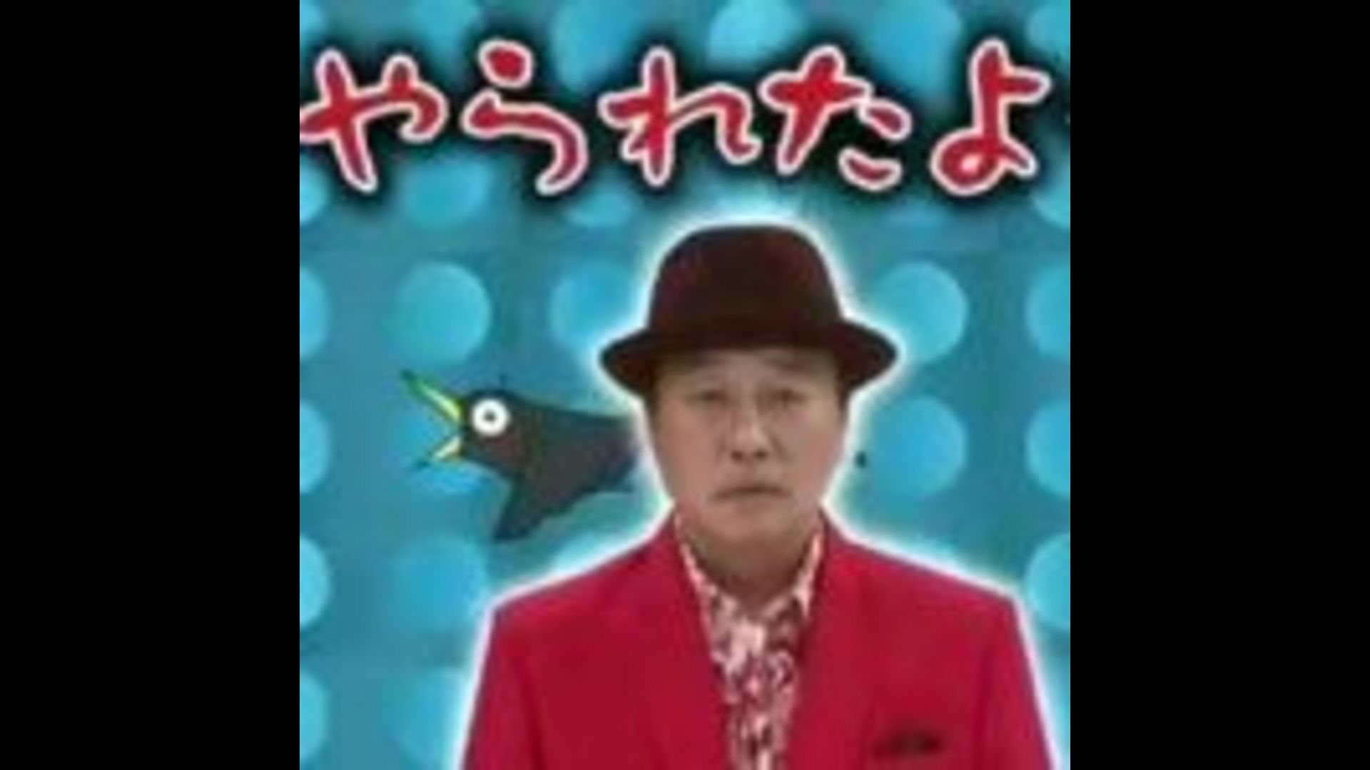 トゥルルさまぁ～ず #239 | Lemino(レミノ) - 映画・ドラマ・アニメや音楽・ライブが見放題 | ドコモの動画配信サービス