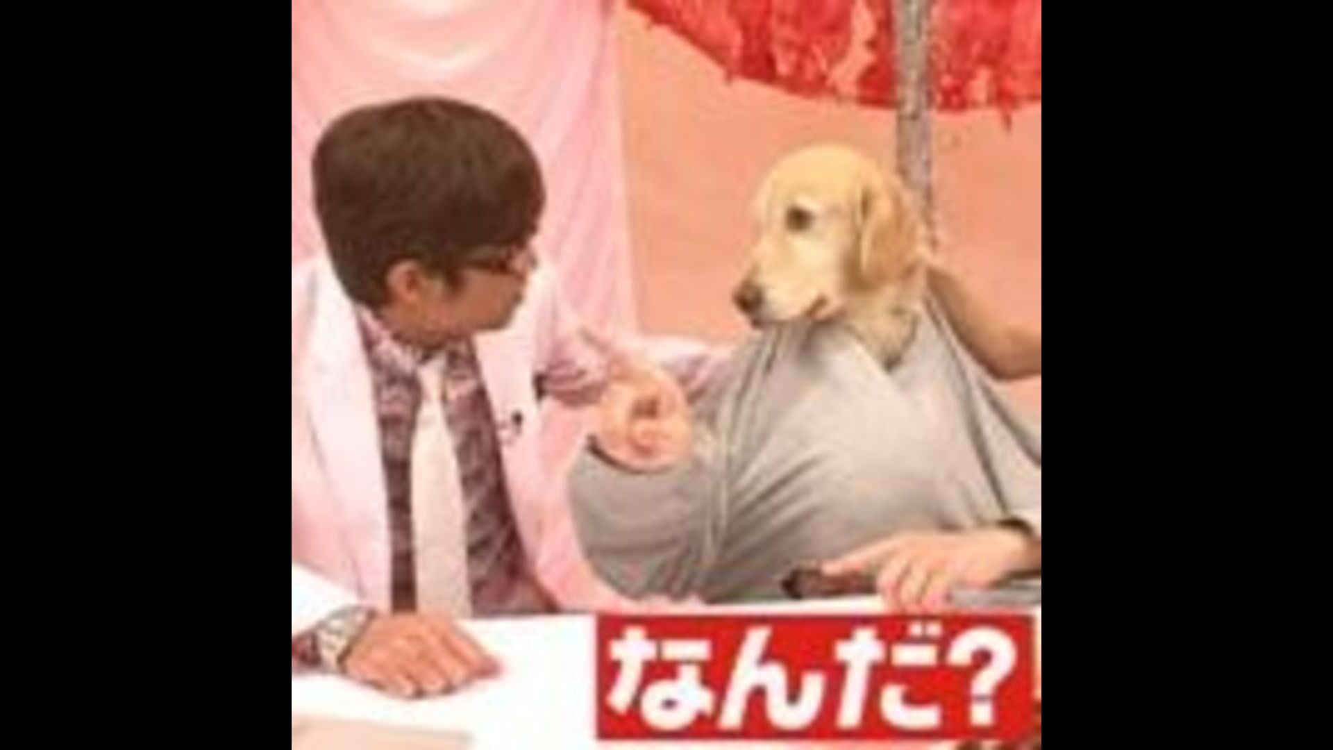 トゥルルさまぁ～ず #304 | Lemino(レミノ) - 映画・ドラマ・アニメや音楽・ライブが見放題 | ドコモの動画配信サービス