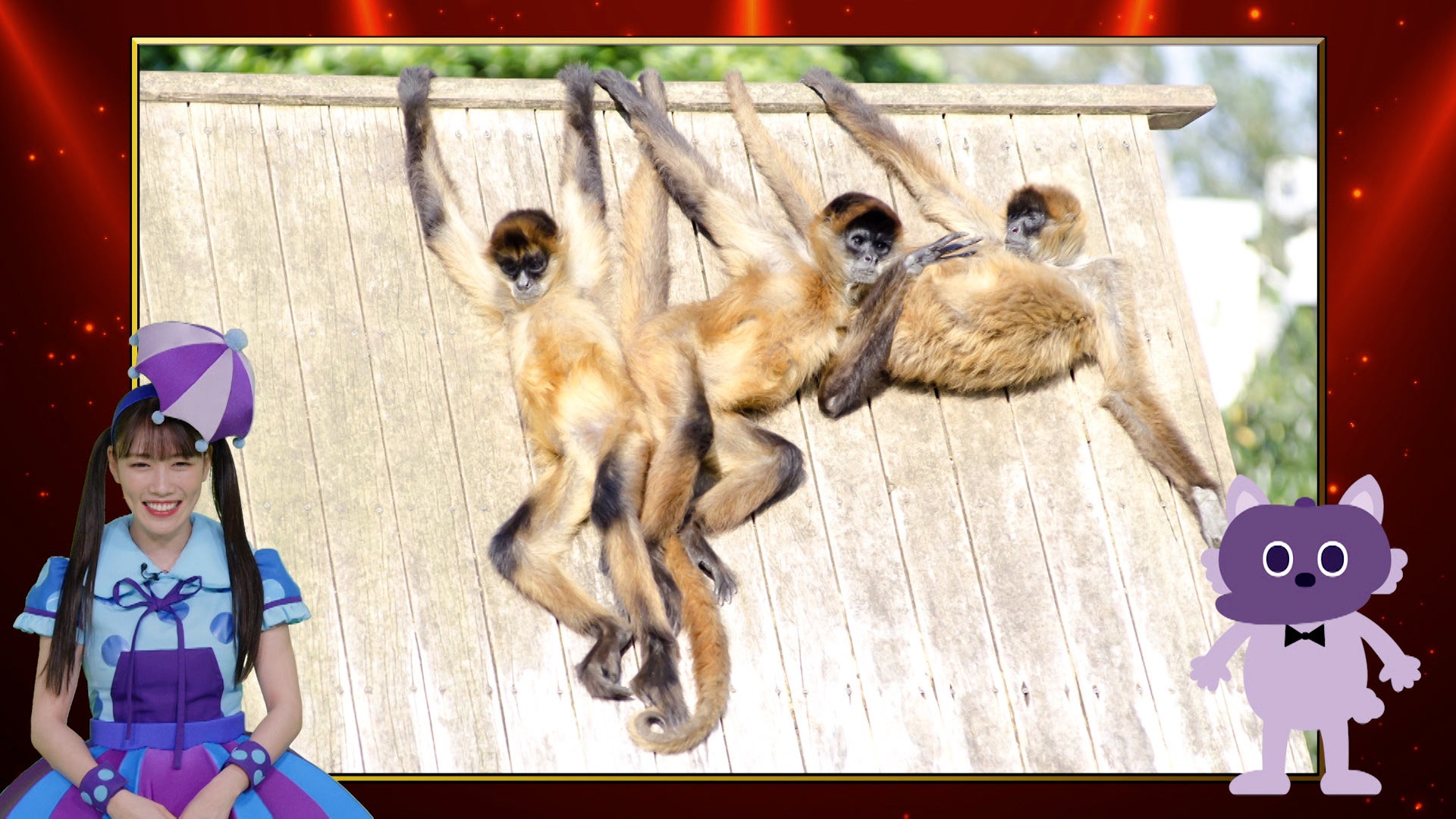 ももくろちゃんZ 「あそぼう！ぐーちょきぱーてぃー」#17 | Lemino(レミノ) - 映画・ドラマ・アニメや音楽・ライブが見放題 | ドコモの動画配信サービス