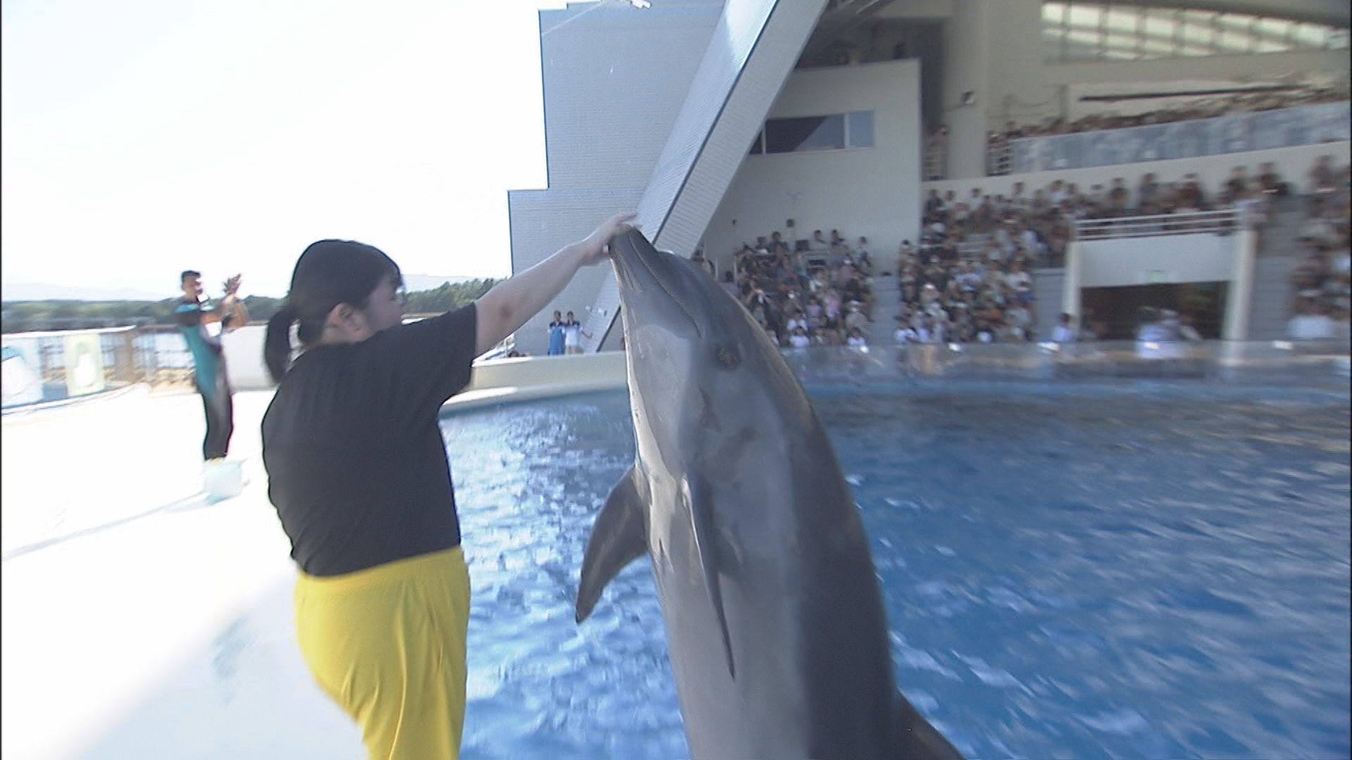 ぼる部屋 #115 | Lemino(レミノ) - 映画・ドラマ・アニメや音楽・ライブが見放題 | ドコモの動画配信サービス