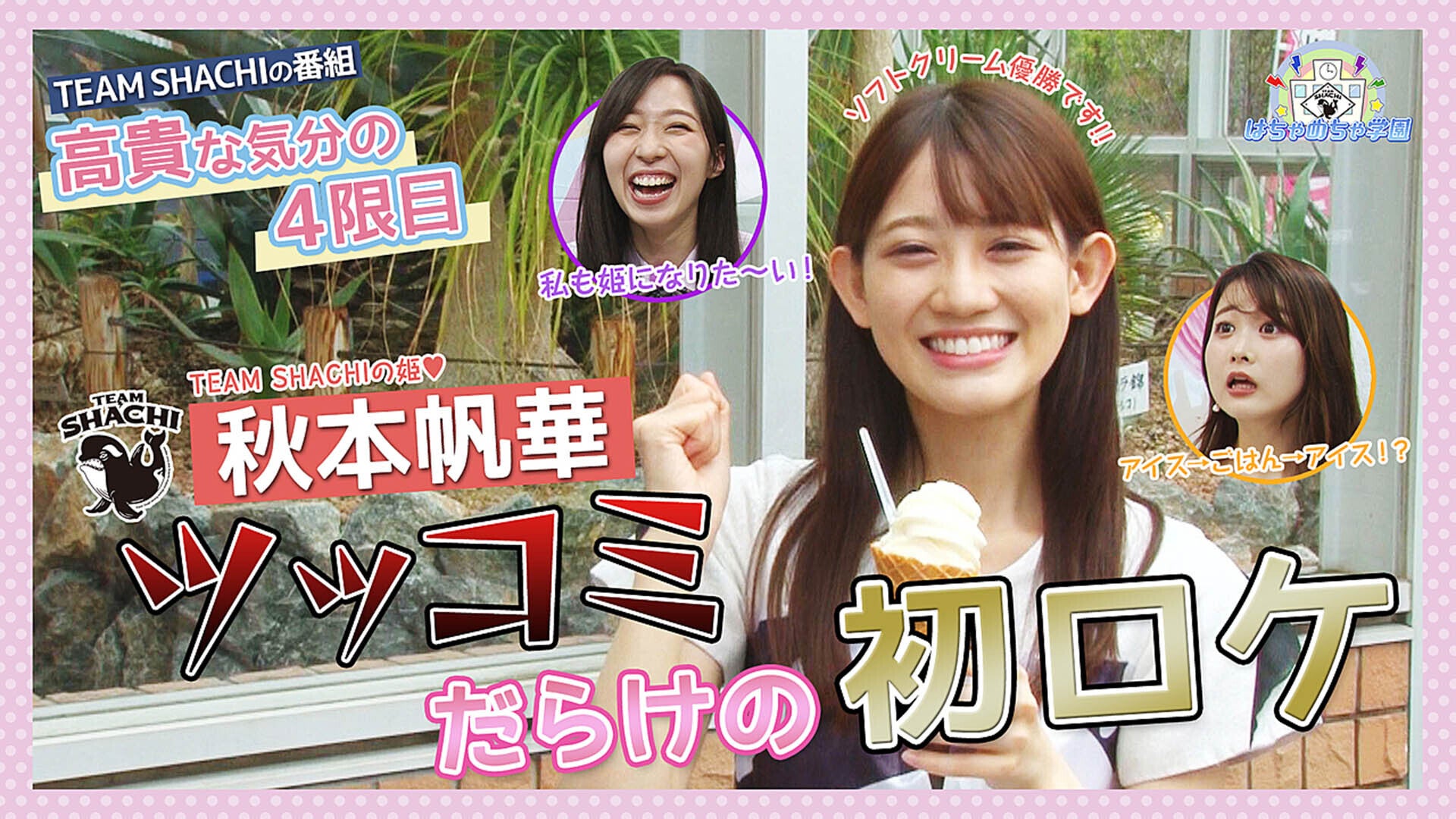 TEAM SHACHI はちゃめちゃ学園4限目 | Lemino(レミノ) - 映画・ドラマ・アニメや音楽・ライブが見放題 | ドコモの動画配信サービス