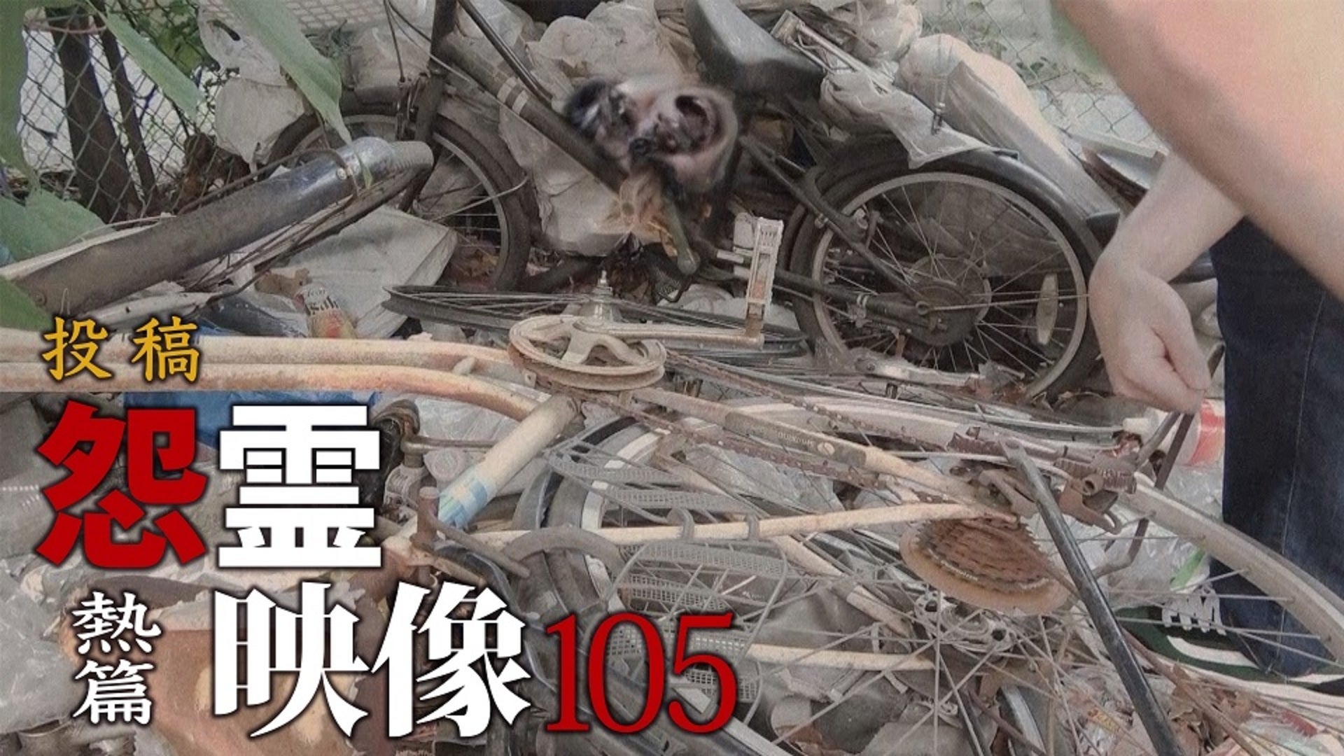 投稿 怨霊映像105 熱篇 | Lemino(レミノ) - 映画・ドラマ・アニメや音楽・ライブが見放題 | ドコモの動画配信サービス