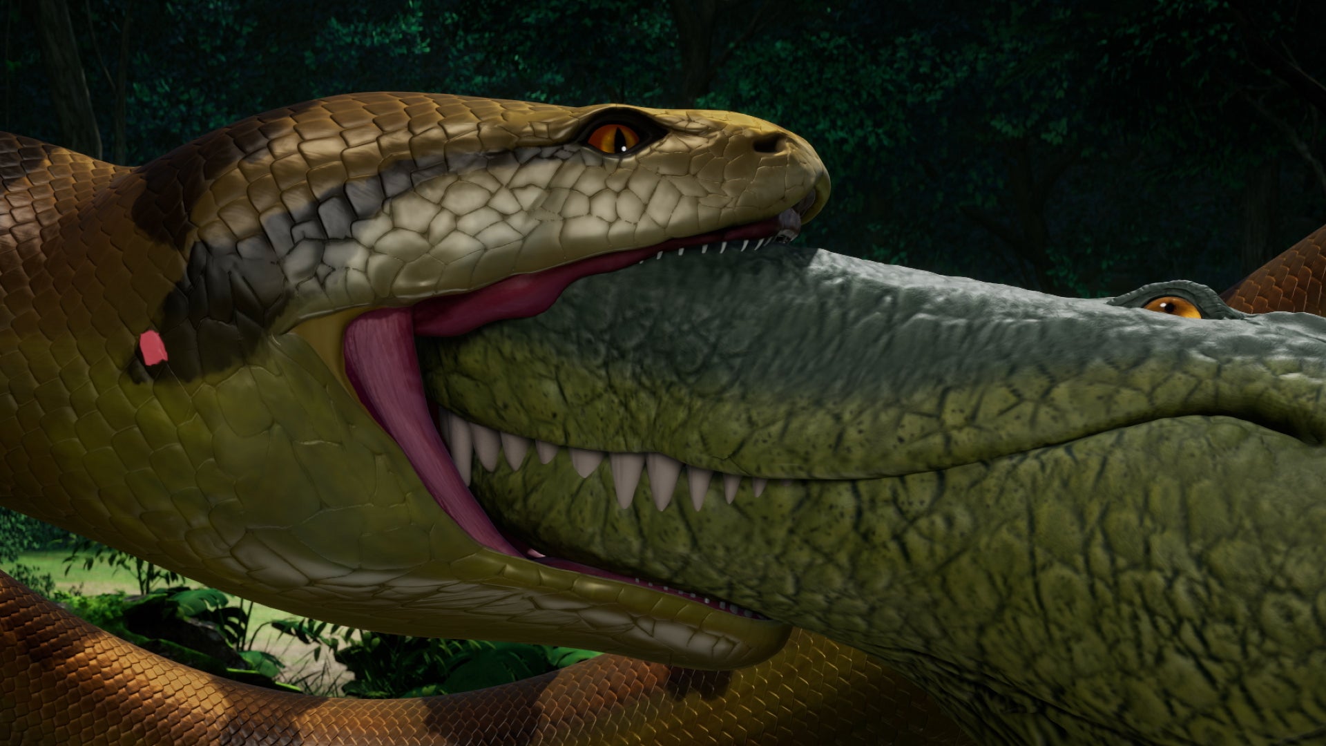 最強王図鑑 ～The Ultimate Battles～ 第49話 | Lemino(レミノ) - 映画・ドラマ・アニメや音楽・ライブが見放題 | ドコモの動画配信サービス