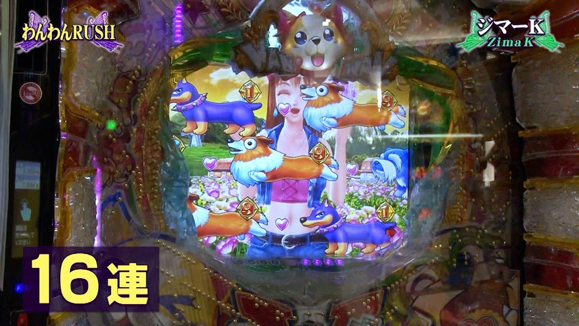 パチンコ実戦塾VENUS #44 | Lemino(レミノ) - 映画・ドラマ・アニメや音楽・ライブが見放題 | ドコモの動画配信サービス