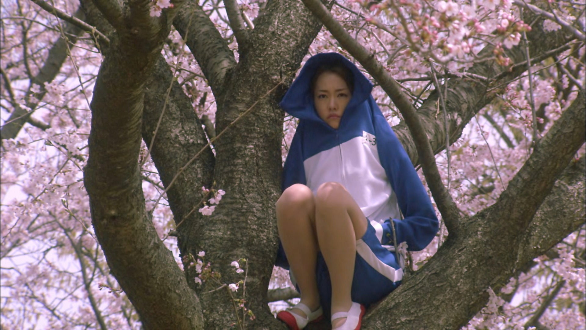 荒川アンダー ザ ブリッジ【TVドラマ】 5話 | Lemino(レミノ) - 映画・ドラマ・アニメや音楽・ライブが見放題 | ドコモの動画配信サービス