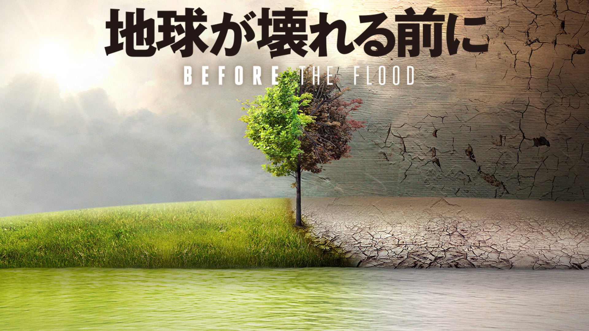 地球が壊れる前に | Lemino(レミノ) - 映画・ドラマ・アニメや音楽・ライブが見放題 | ドコモの動画配信サービス