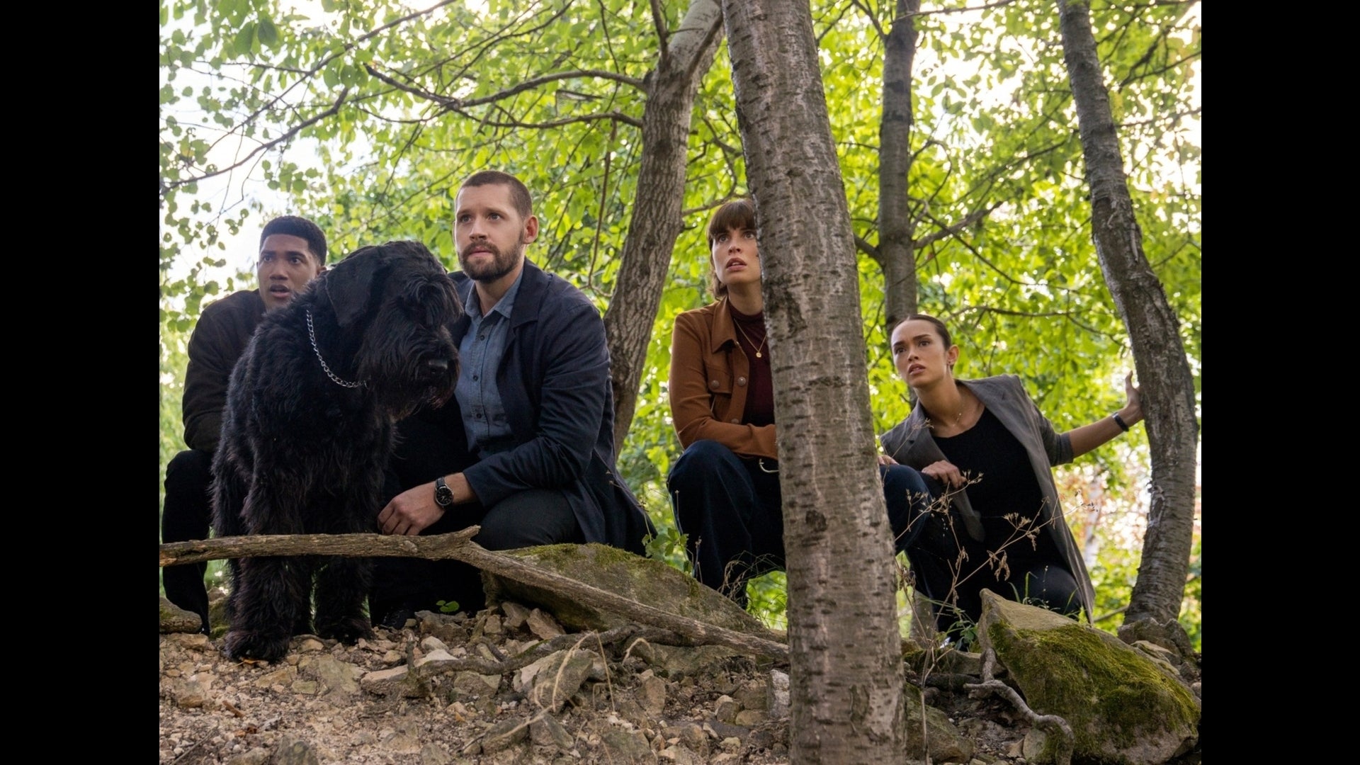 FBI：インターナショナル 第2話 | Lemino(レミノ) - 映画・ドラマ・アニメや音楽・ライブが見放題 | ドコモの動画配信サービス