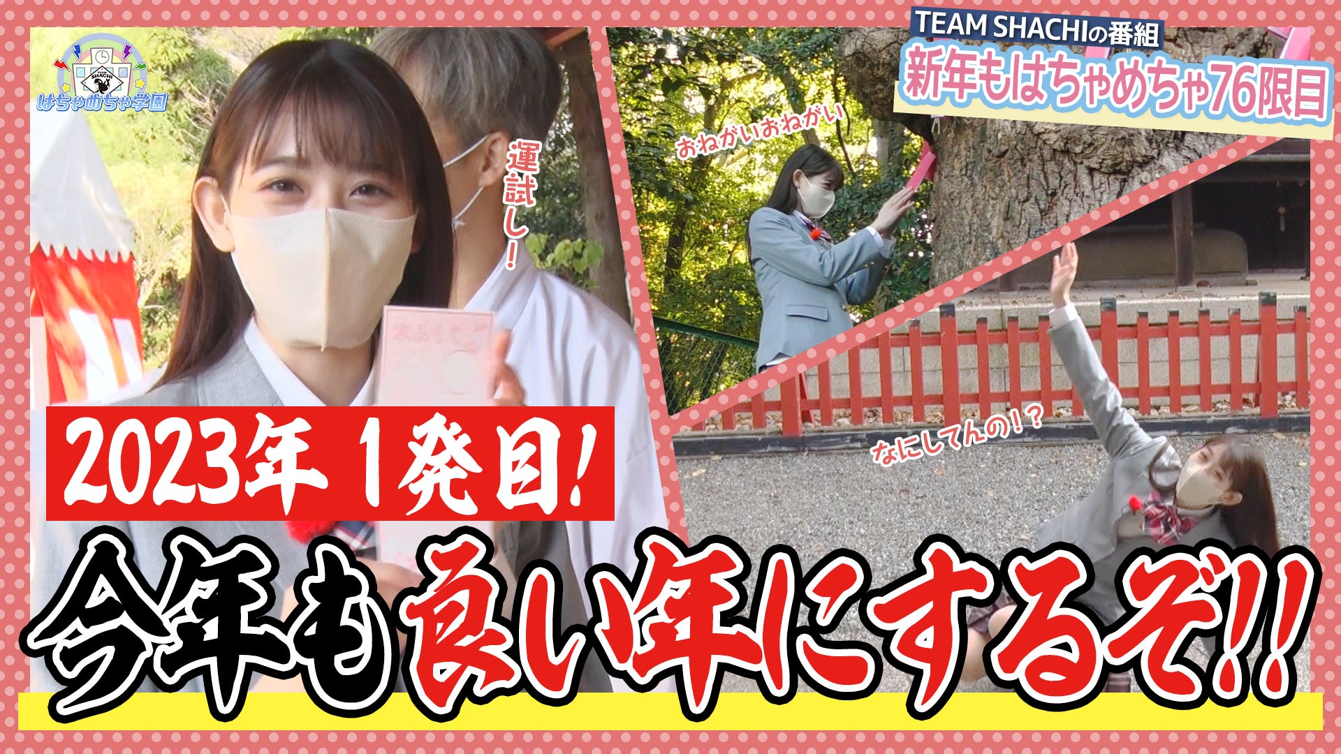 TEAM SHACHI はちゃめちゃ学園76限目 | Lemino(レミノ) - 映画・ドラマ・アニメや音楽・ライブが見放題 | ドコモの動画配信サービス