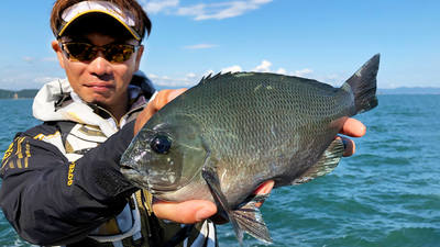 ITT 9 シーズン初期 湾内の磯で起こりがちな事とその対処法を大分県鶴見の磯で探る【前編】 | Lemino(レミノ) - 映画・ドラマ・アニメや音楽・ライブが見放題 | ドコモの動画配信サービス