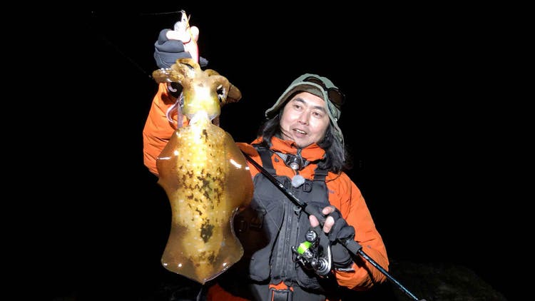 SOUL JERKER 4 和歌山県南紀エリア×冬イカ攻略【後編】 | Lemino(レミノ) - 映画・ドラマ・アニメや音楽・ライブが見放題 | ドコモの動画配信サービス