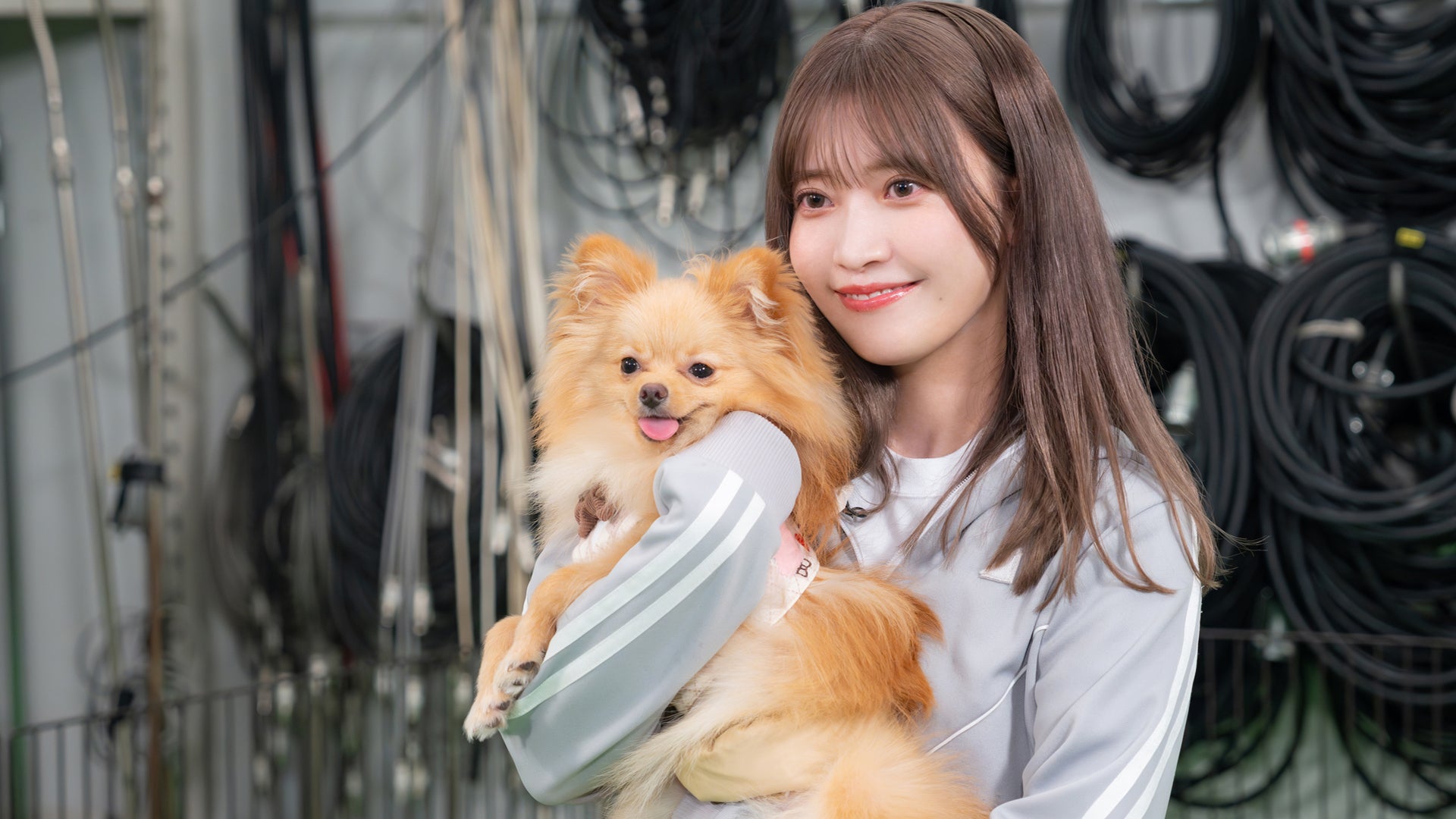 そこ曲がったら、櫻坂？【24/11/18配信】#210 | Lemino(レミノ) - 映画・ドラマ・アニメや音楽・ライブが見放題 | ドコモの動画配信サービス