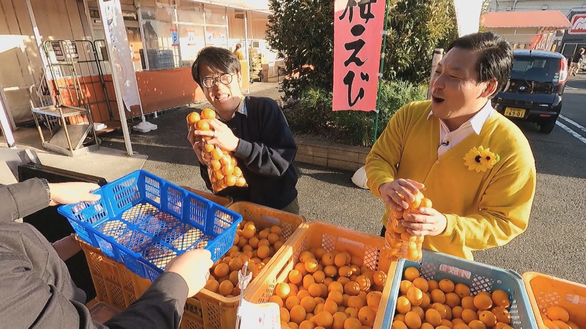 突撃インディアンス 2024年12月16日放送分 | Lemino(レミノ) - 映画・ドラマ・アニメや音楽・ライブが見放題 | ドコモの動画配信サービス
