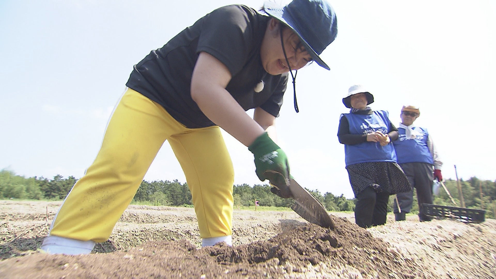 ぼる部屋 #174 | Lemino(レミノ) - 映画・ドラマ・アニメや音楽・ライブが見放題 | ドコモの動画配信サービス