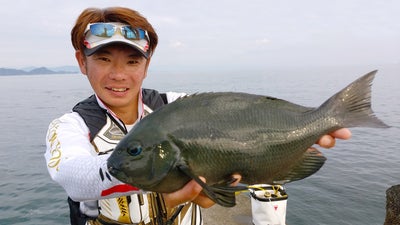 ITT 1 シーズン初期 高水温 エサトリ高活性 だったらどうする【後編】 | Lemino(レミノ) - 映画・ドラマ・アニメや音楽・ライブが見放題 | ドコモの動画配信サービス