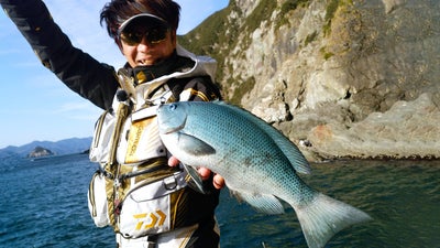 ITT 6 勝つためには型も求めろ 大分県米水津の冬【前編】 | Lemino(レミノ) - 映画・ドラマ・アニメや音楽・ライブが見放題 | ドコモの動画配信サービス