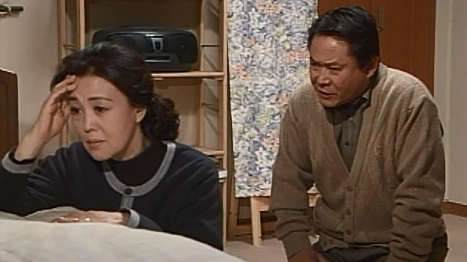 渡る世間は鬼ばかり 第4シリーズ(橋田壽賀子ドラマ) 第十九回 | Lemino(レミノ) - 映画・ドラマ・アニメや音楽・ライブが見放題 | ドコモの動画配信サービス