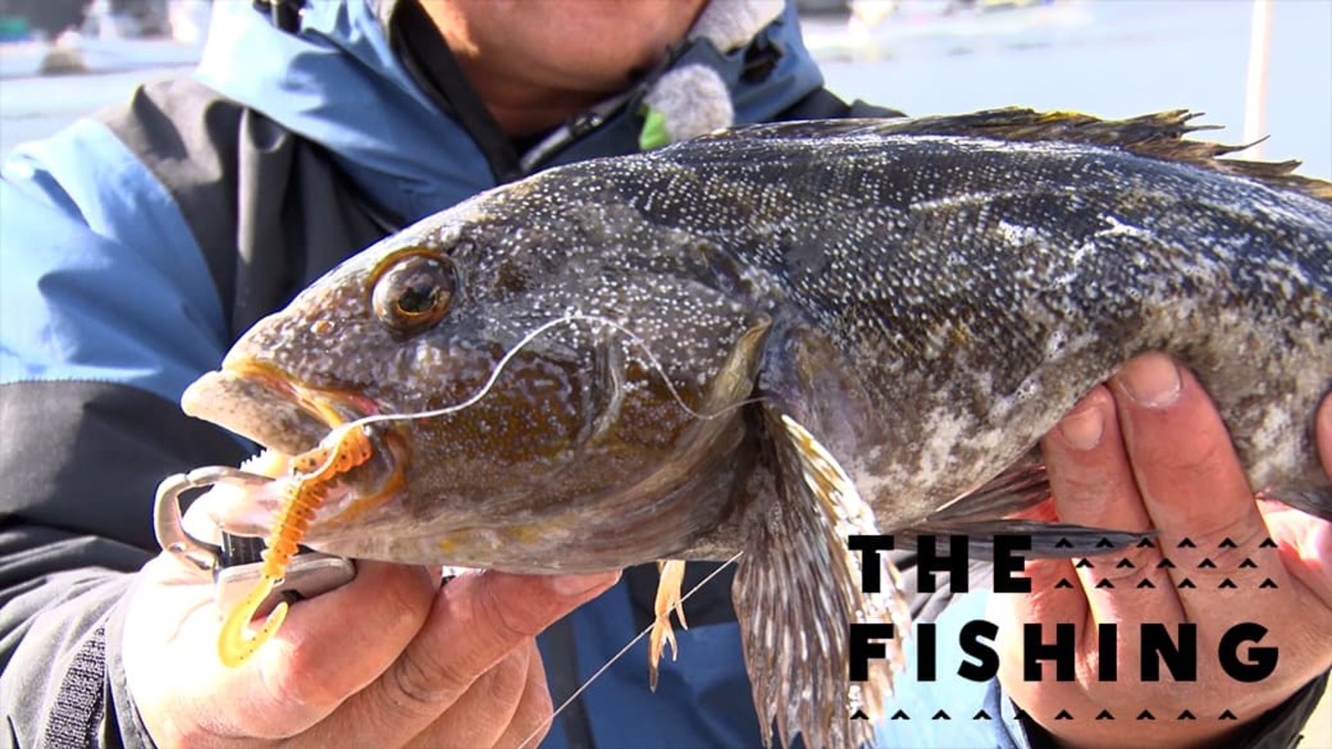 THE フィッシング #2075 | Lemino(レミノ) - 映画・ドラマ・アニメや音楽・ライブが見放題 | ドコモの動画配信サービス