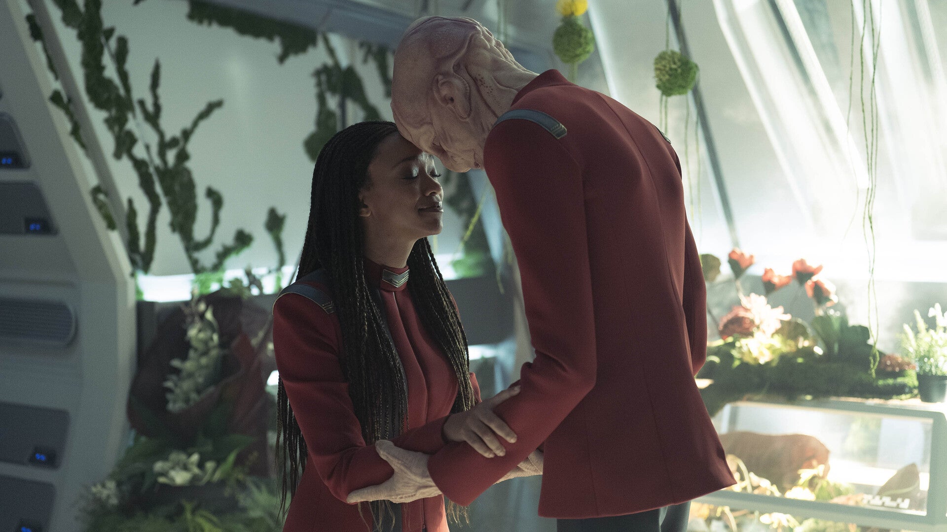 スター・トレック: ディスカバリー Season 5 「第2話」 | Lemino(レミノ) - 映画・ドラマ・アニメや音楽・ライブが見放題 | ドコモの動画配信サービス