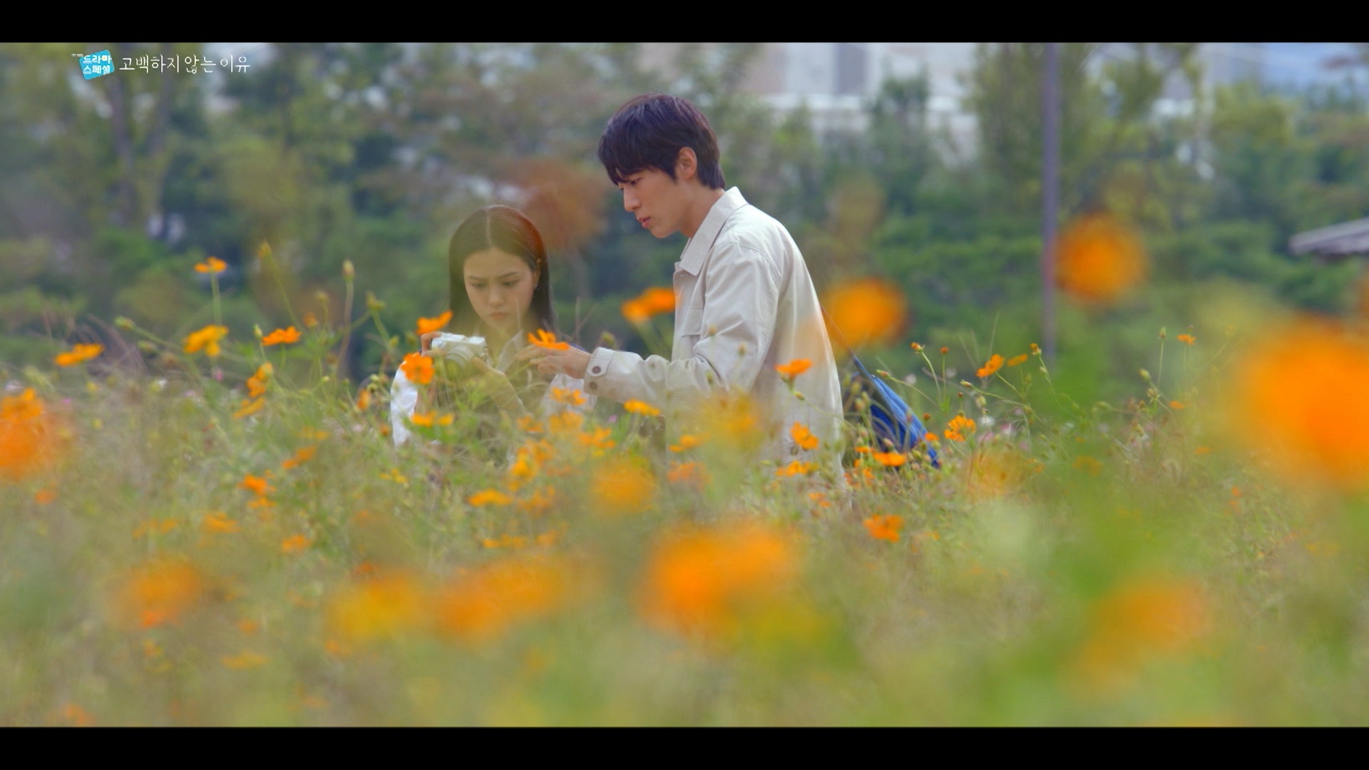 ドラマスペシャル2020 #10 | Lemino(レミノ) - 映画・ドラマ・アニメや音楽・ライブが見放題 | ドコモの動画配信サービス