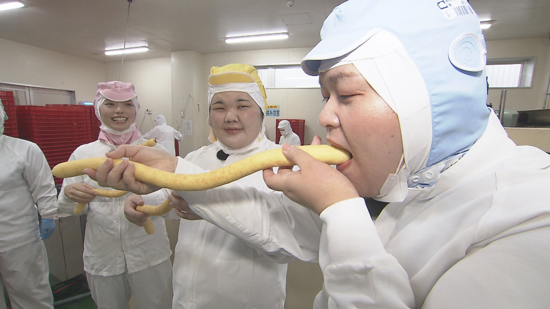 ぼる部屋 #209 | Lemino(レミノ) - 映画・ドラマ・アニメや音楽・ライブが見放題 | ドコモの動画配信サービス