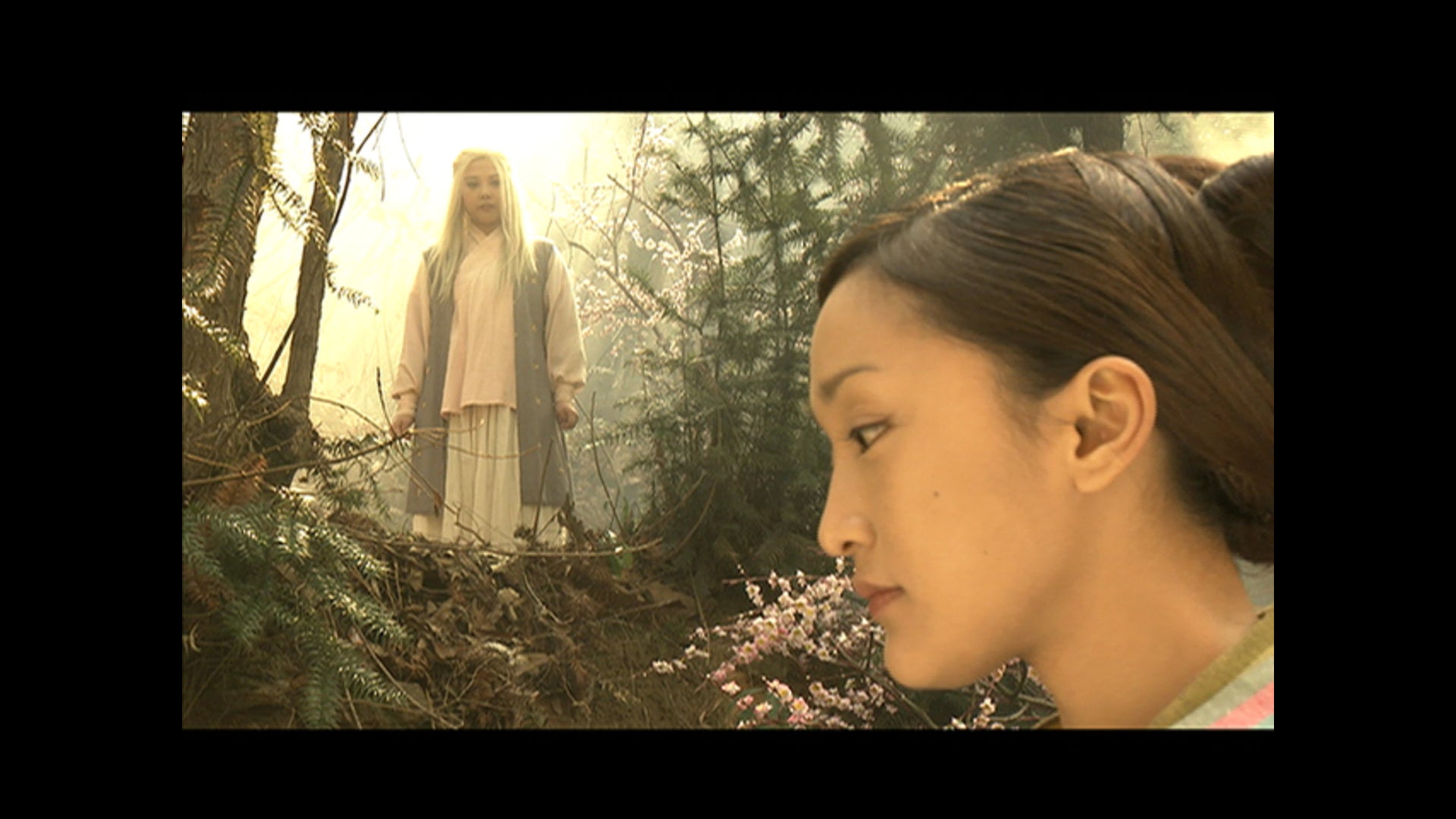 射雕英雄伝 第34話 | Lemino(レミノ) - 映画・ドラマ・アニメや音楽・ライブが見放題 | ドコモの動画配信サービス