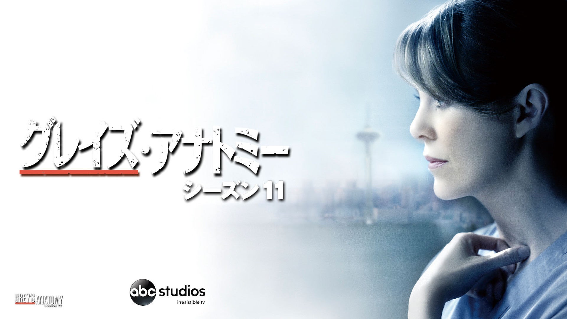 【全話セット】グレイズ・アナトミー シーズン11 全25話 | Lemino(レミノ) - 映画・ドラマ・アニメや音楽・ライブが見放題 | ドコモの動画配信サービス