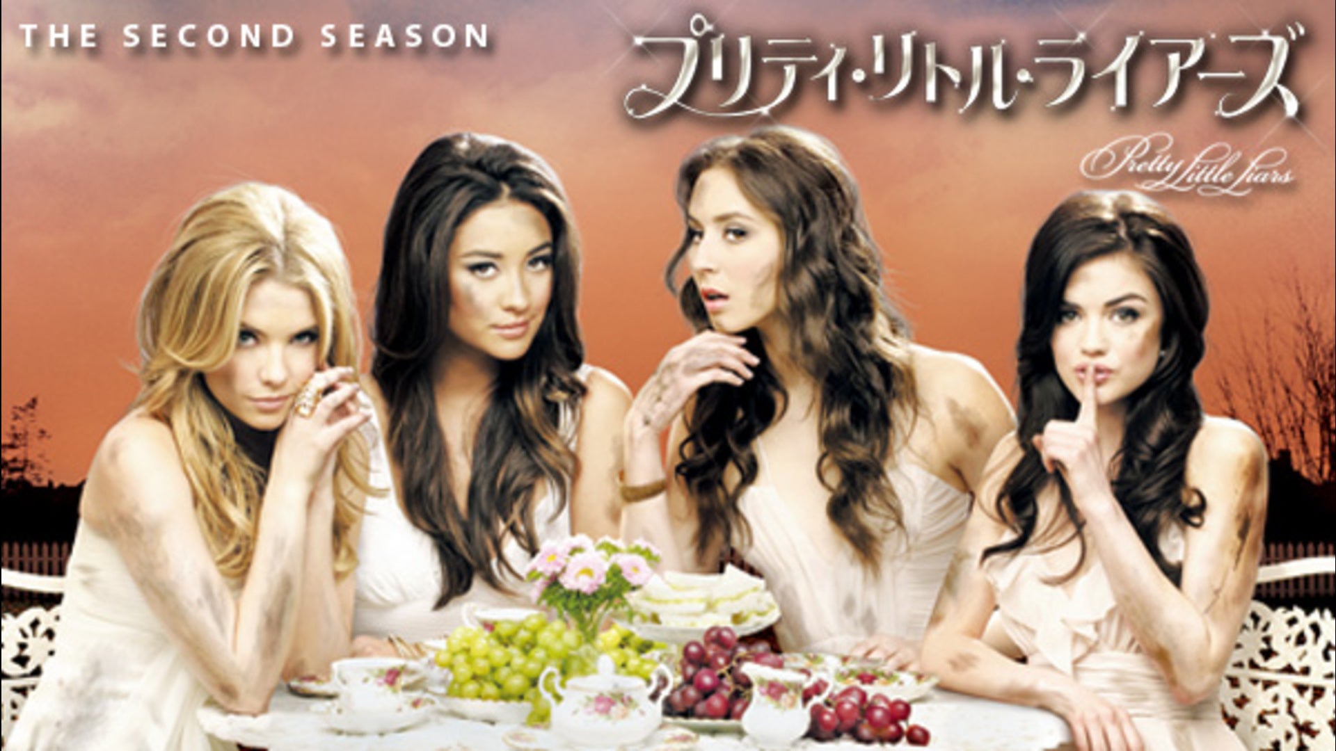 プリティ・リトル・ライアーズ シーズン2 全25話 | Lemino(レミノ) - 映画・ドラマ・アニメや音楽・ライブが見放題 | ドコモの動画配信サービス