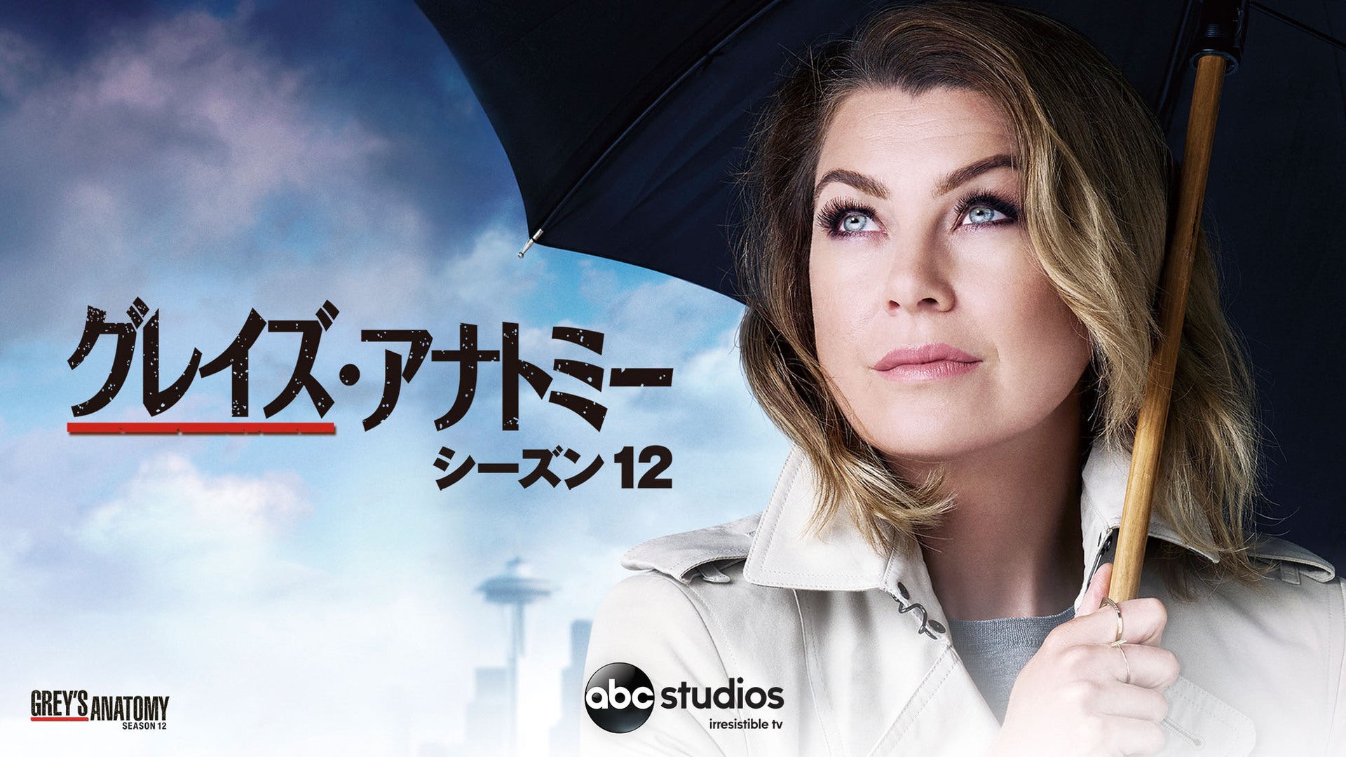 【全話セット】グレイズ・アナトミー シーズン12 全24話 | Lemino(レミノ) - 映画・ドラマ・アニメや音楽・ライブが見放題 | ドコモの動画配信サービス