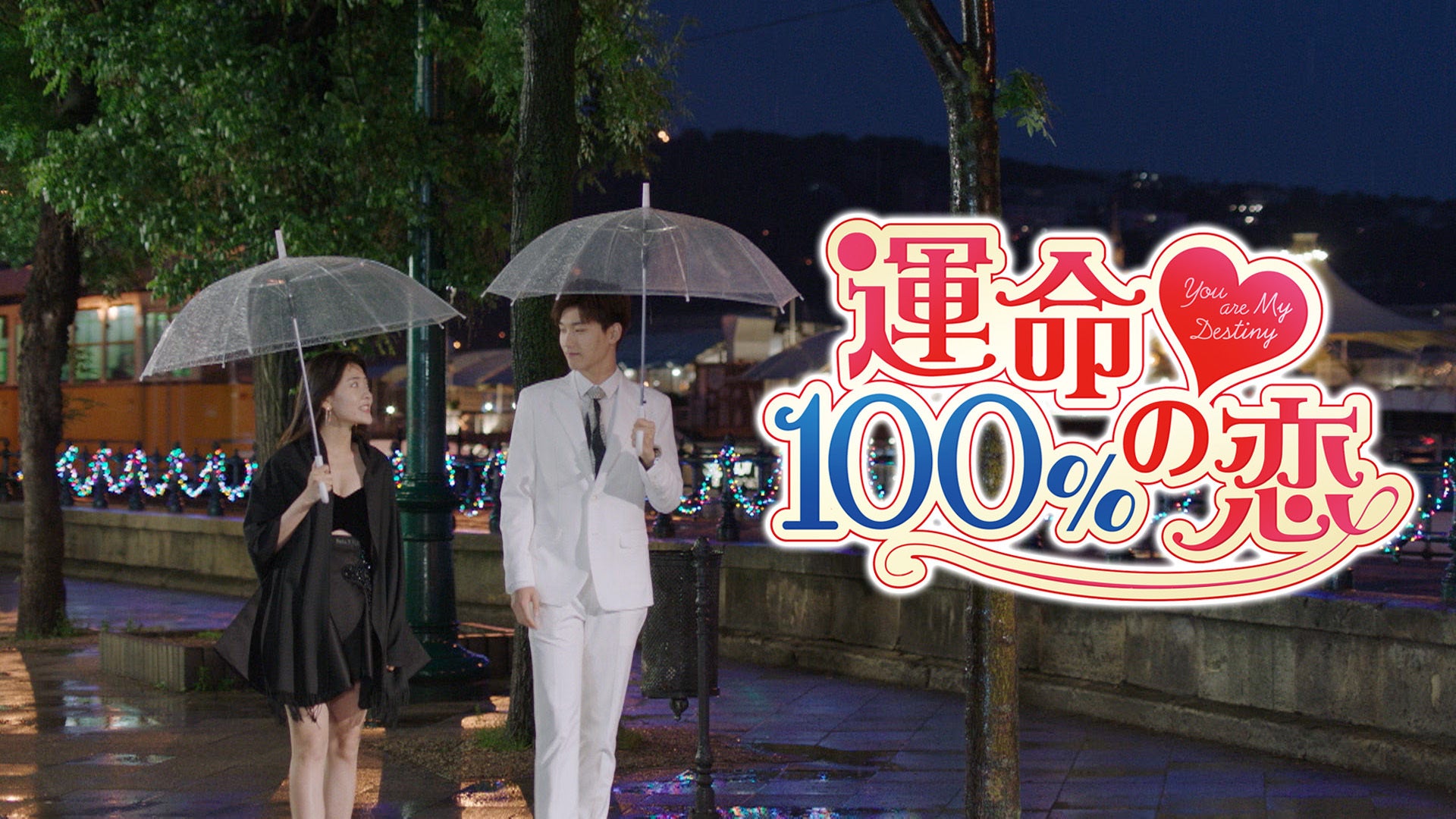 運命100%の恋 | Lemino(レミノ) - 映画・ドラマ・アニメや音楽・ライブが見放題 | ドコモの動画配信サービス